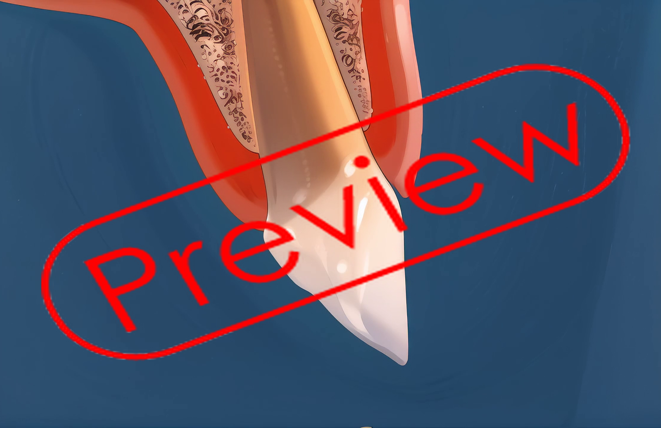 Dental Anime 23x2v7 - Payhip
