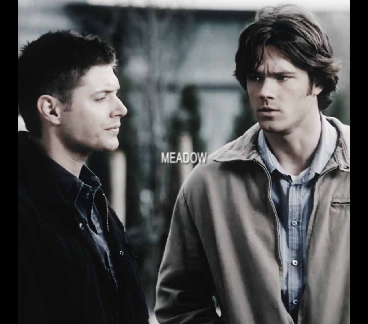 d6scry coloring "meadow" - Payhip