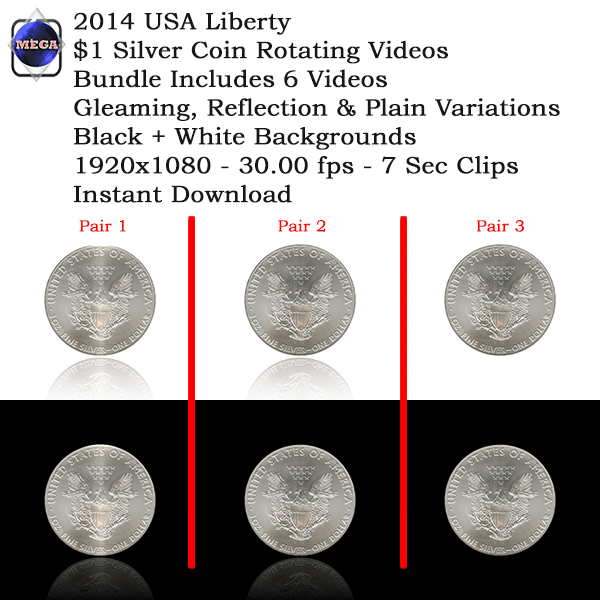 2014 USA Liberty Silver Dollar Rotating Coin Videos - Payhip