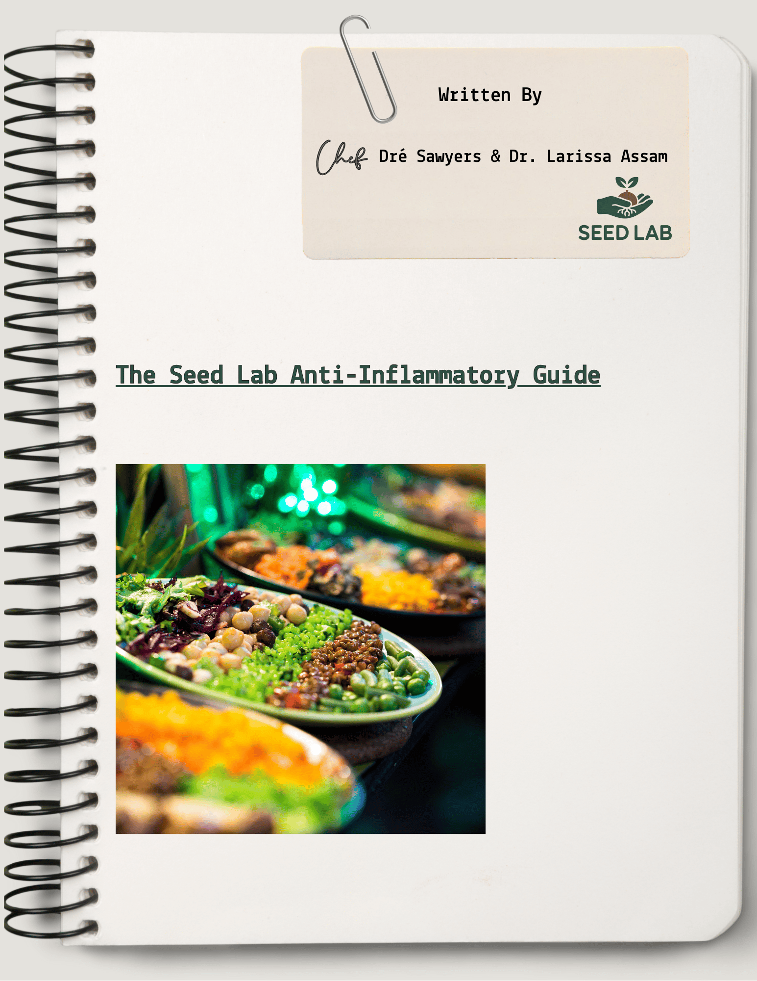 The Seed Lab: Anti-Inflammatory Guide - Payhip