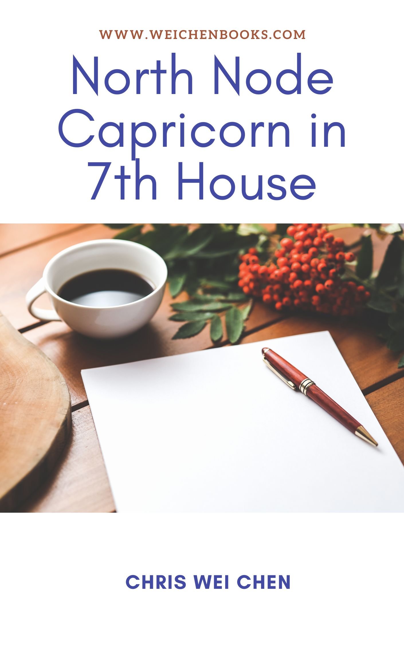 North Node Capricorn 7th House Series