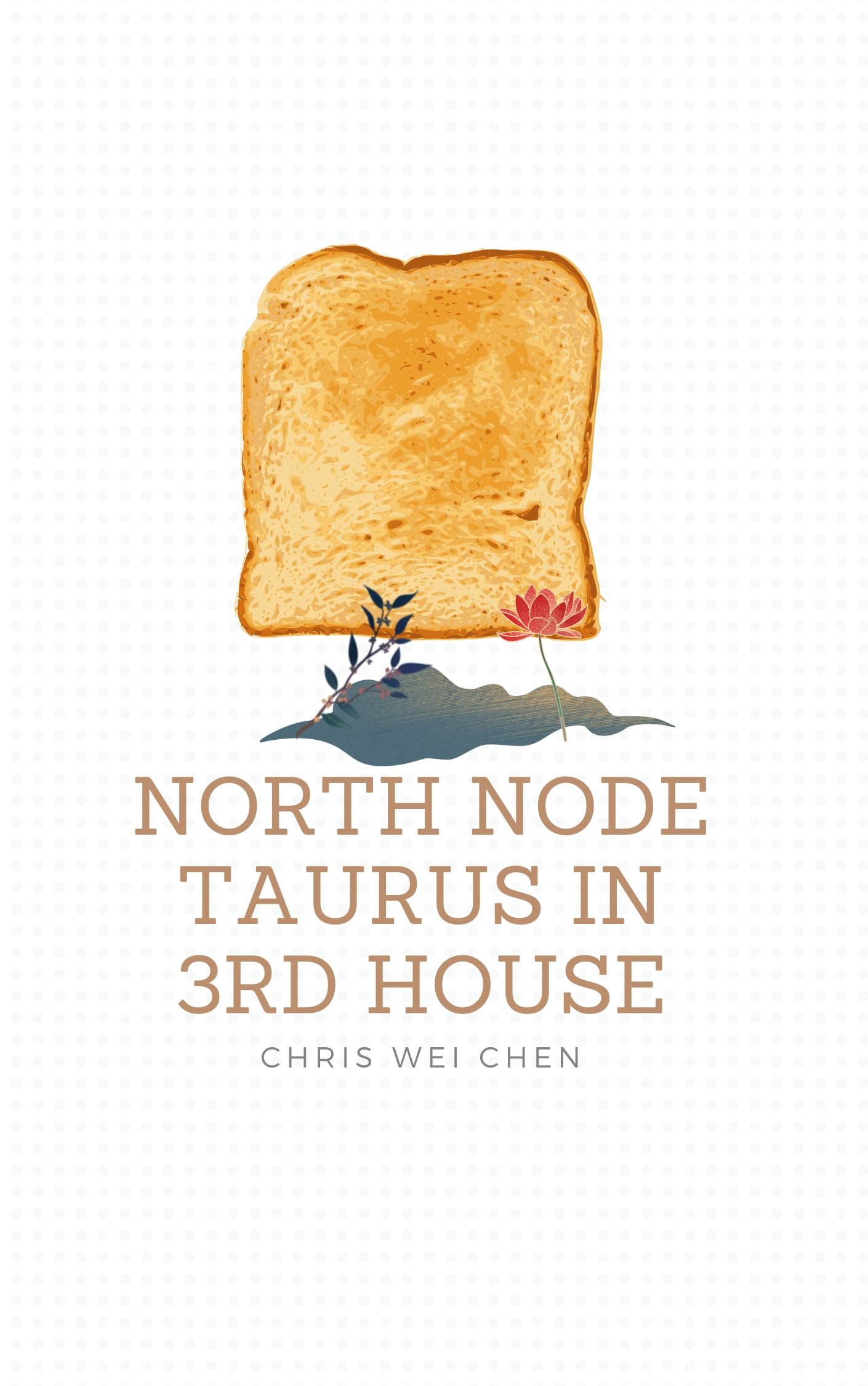 North Node Taurus 3rd House Series