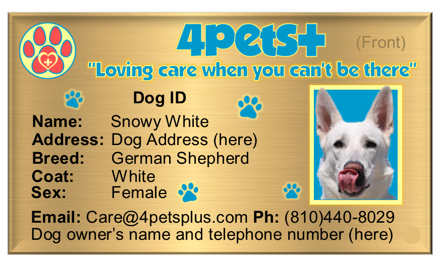 Your Custom Dog ID Card Wag & Go (Short Walk)