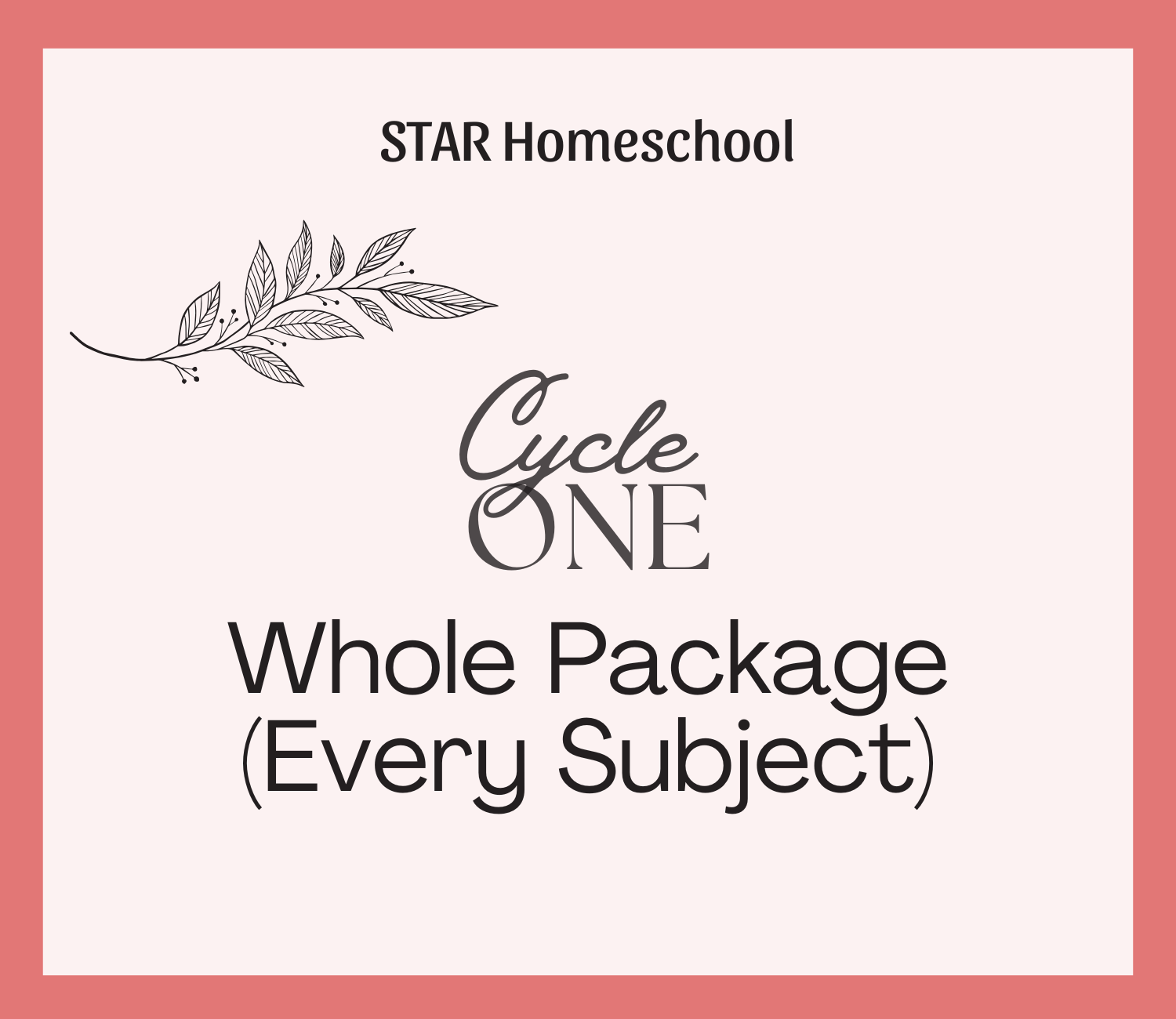 Cycle 1: Whole Package (Every Subject) - Payhip