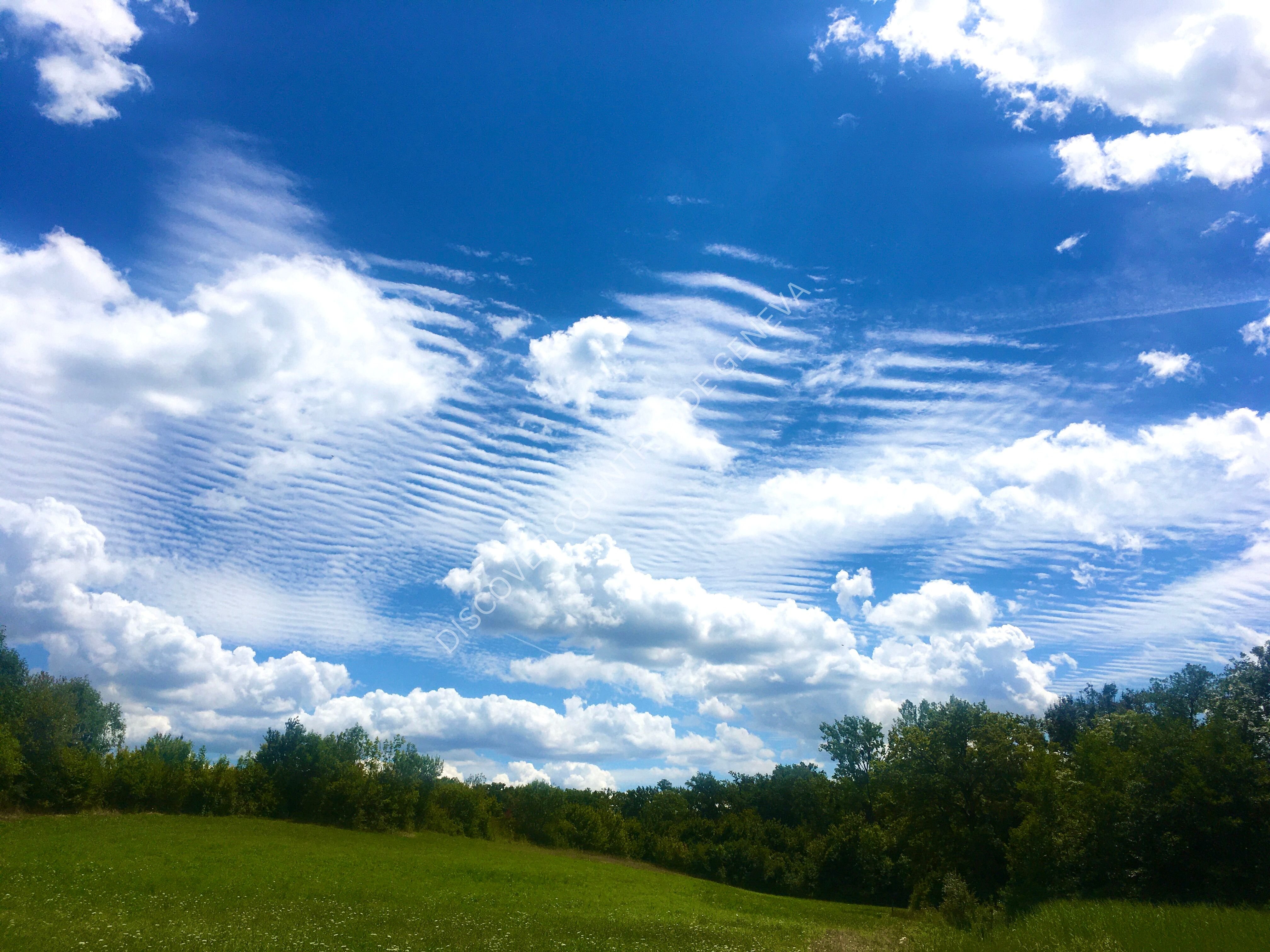 Versoix Countryside Field Trees Blue Sky Clouds - Payhip
