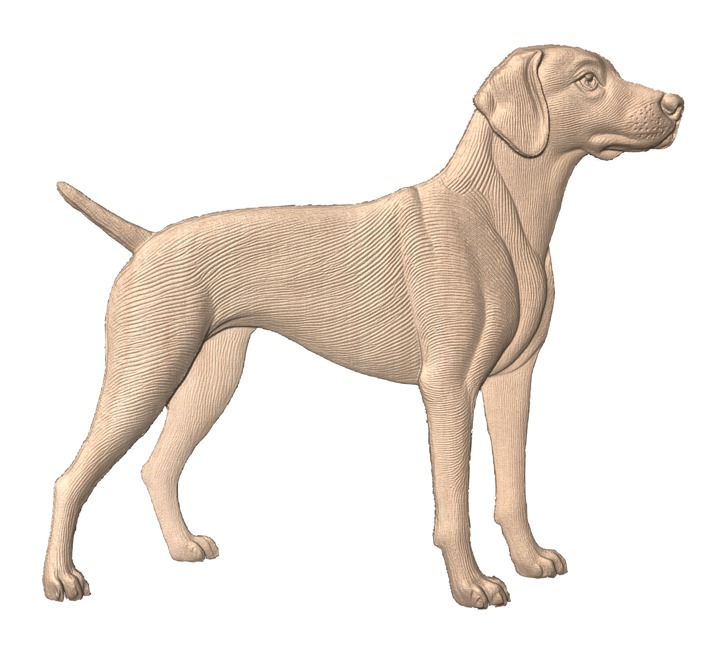 German Shorthaired Pointer CNC 3d Relief & SVG Carving Files - Payhip