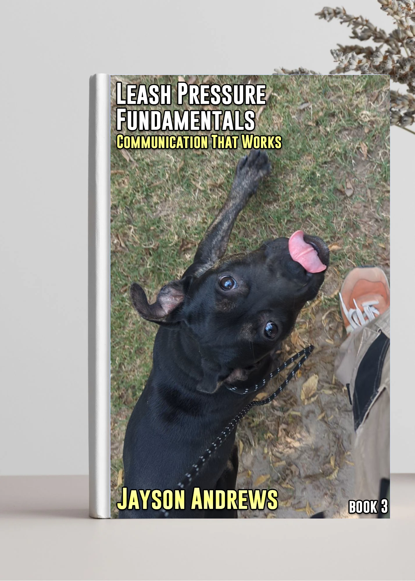 Leash Pressure Fundamentals: Communication That Works - Payhip