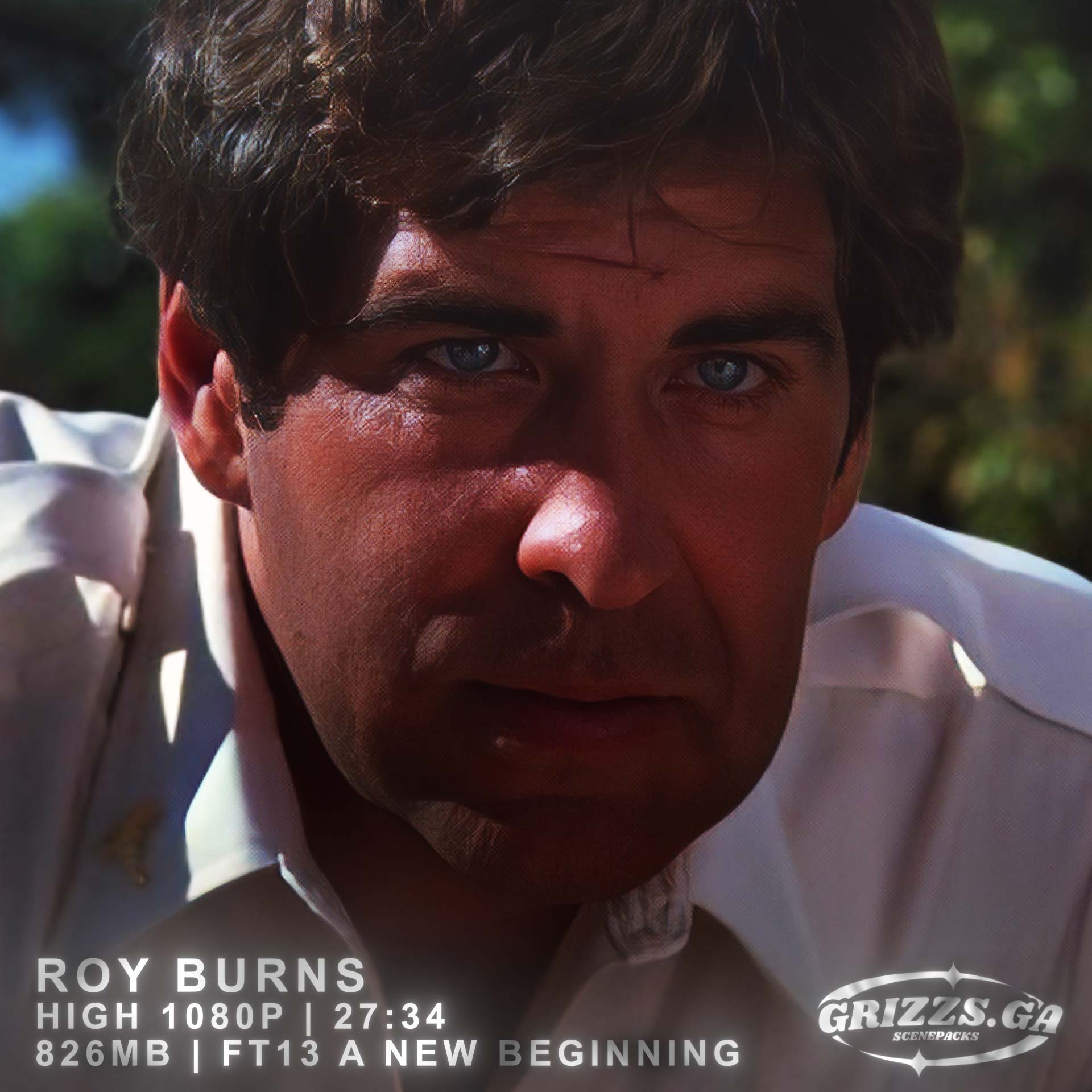 Roy Burns By @grizzs.ga - Payhip