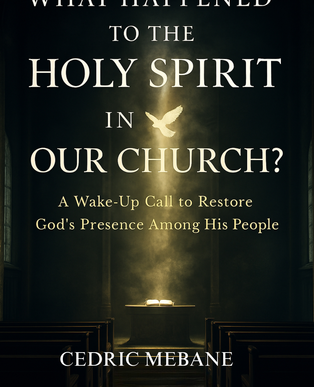 Whatever Happened To The Holy Spirit In Our Churches - Payhip