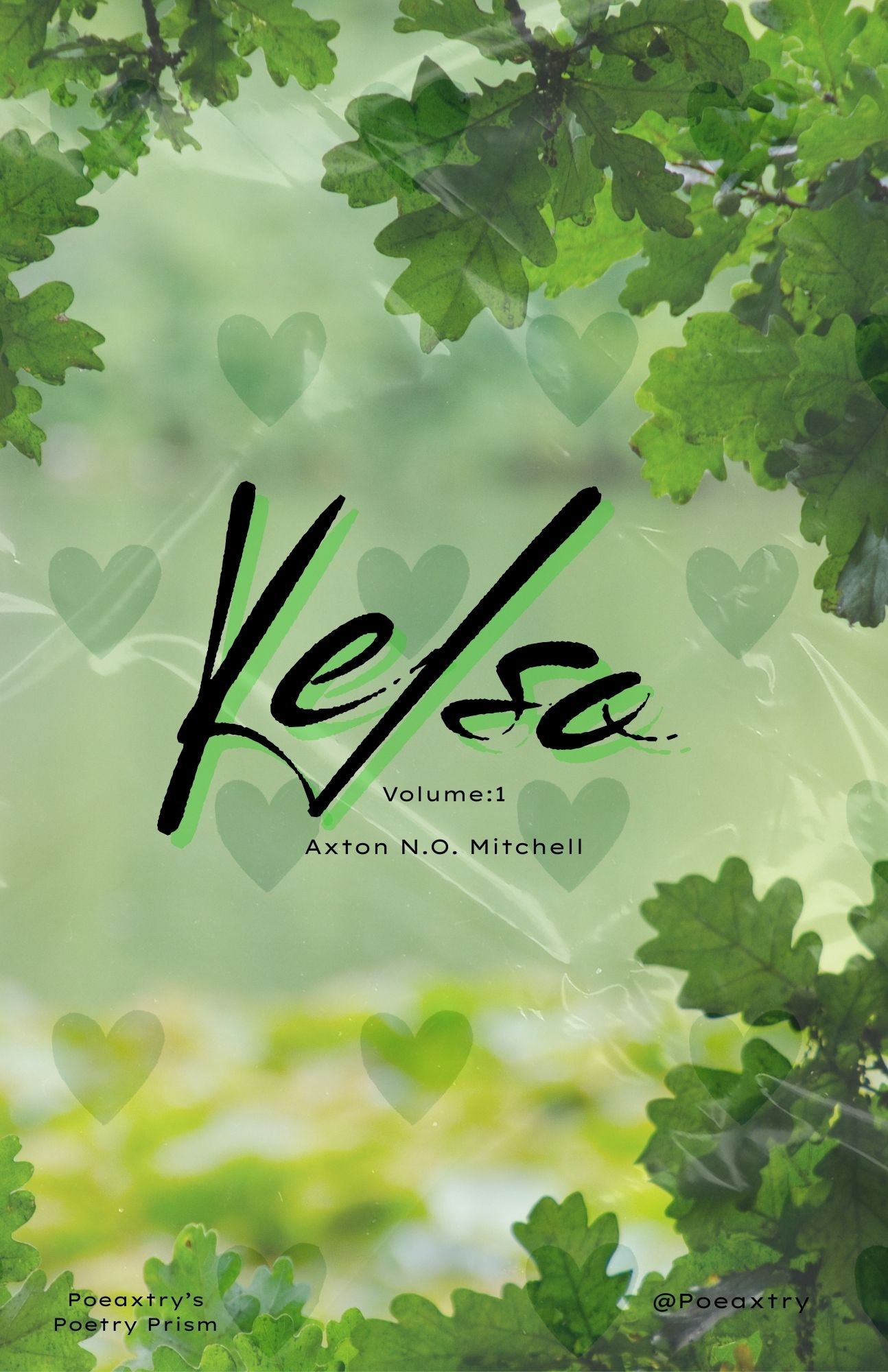 Kelso- A Zine dedicated to my Partner - Payhip