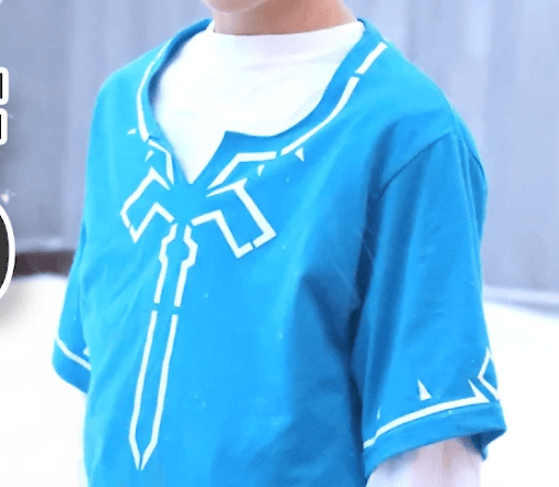 Link's Breath of the Wild Champion's Tunic - Template - Payhip