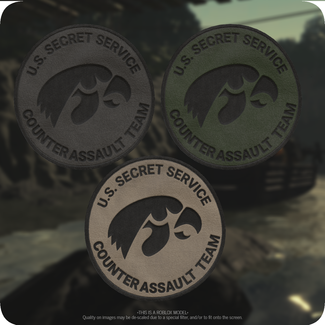 USSS CAT Secret Service Counter Assault Team - Payhip