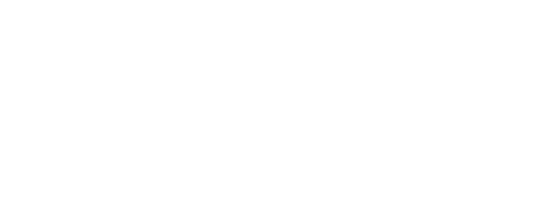 Vismer