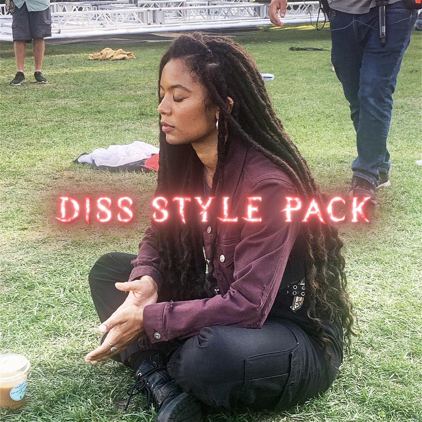 Diss Style Pack - Payhip