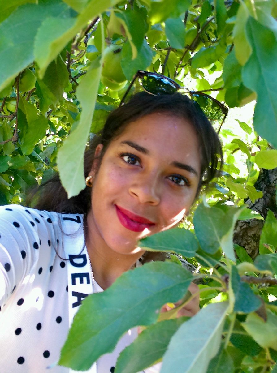 Eternal Designs - Payhip