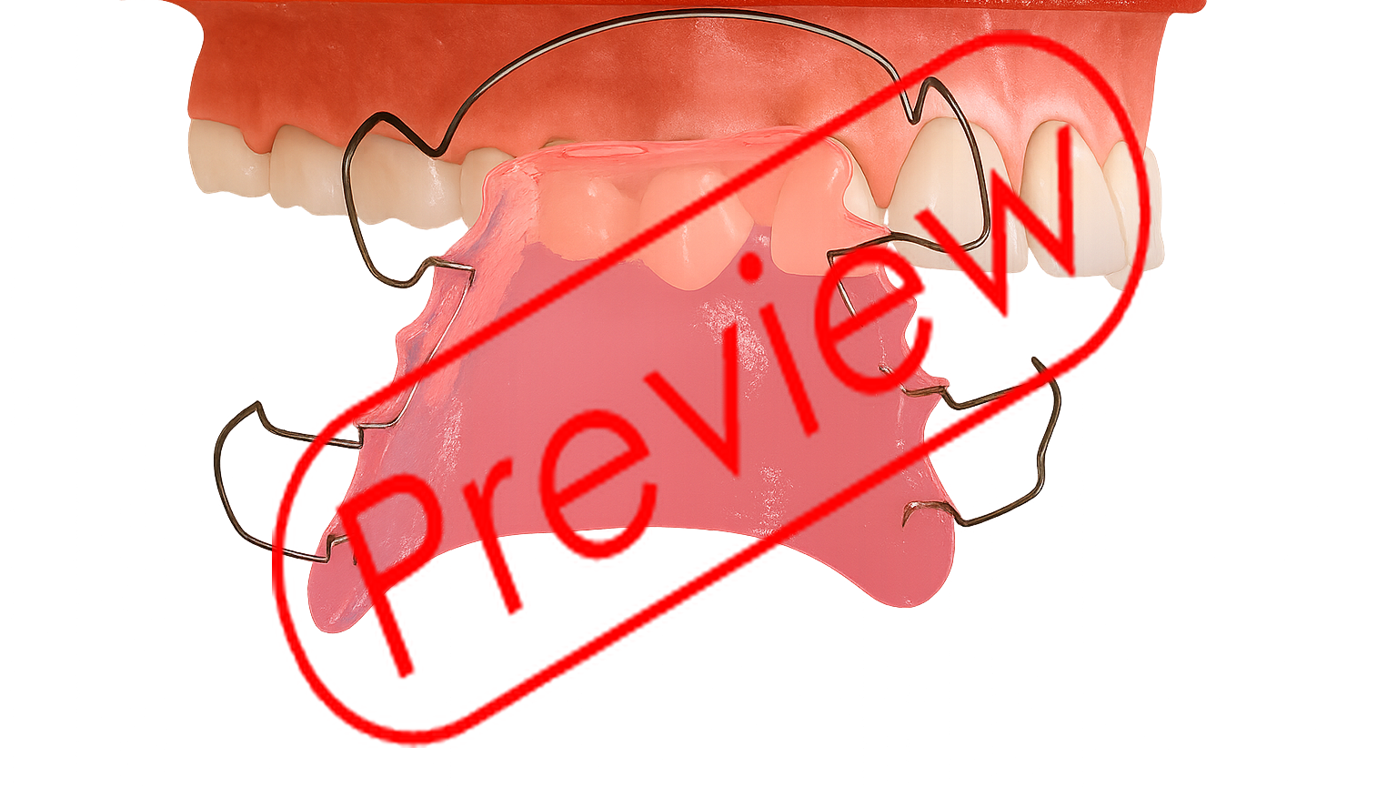 Orthodontics y06 - Payhip