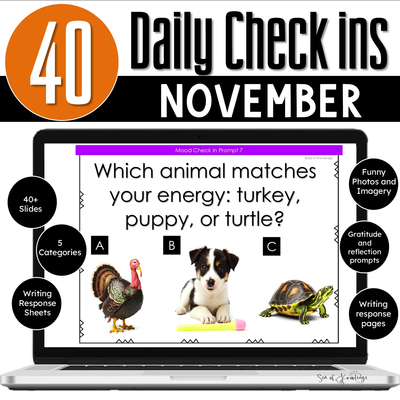 November Daily Check-Ins | Morning Meeting Slides | Gratitude ...