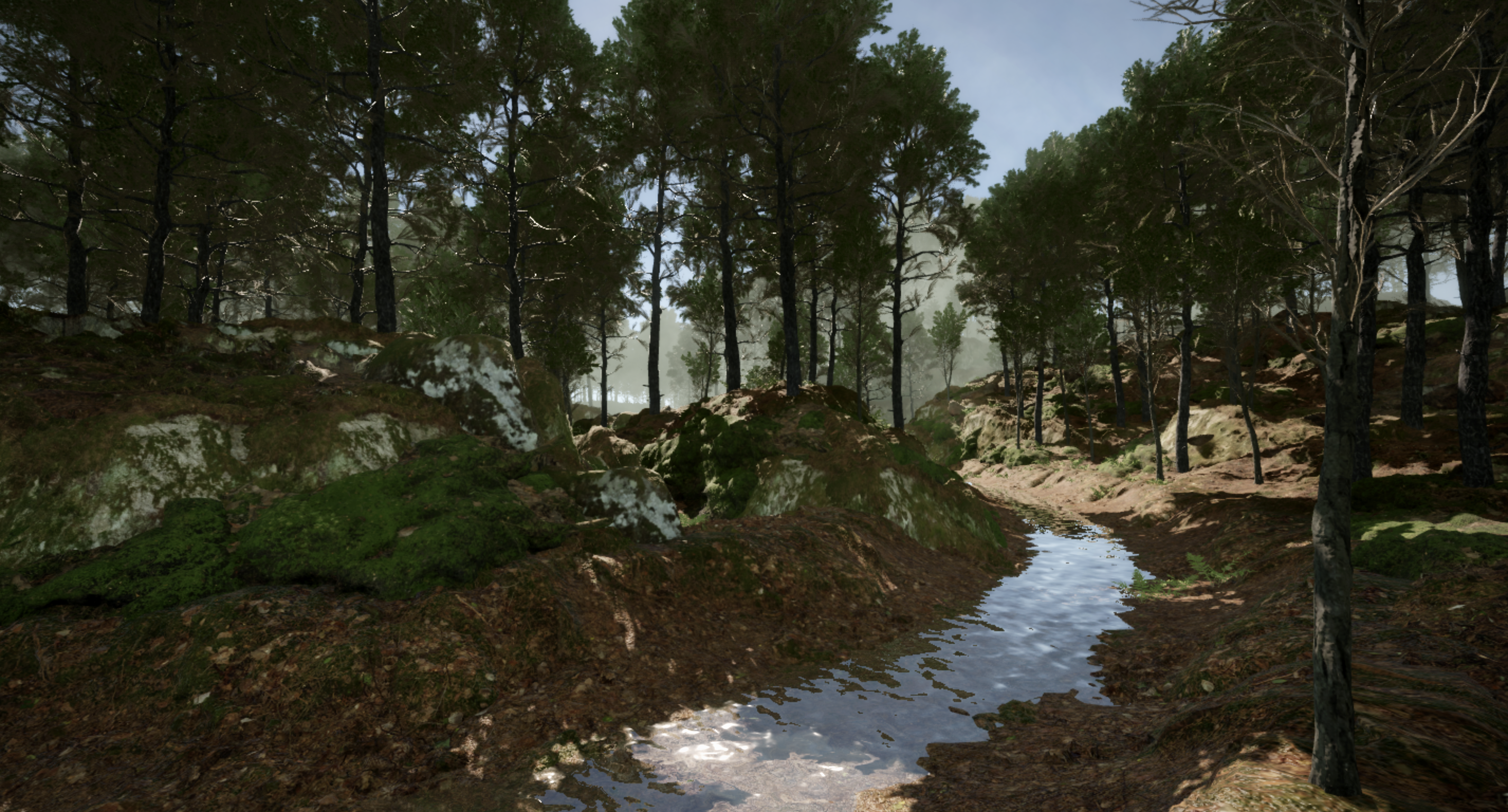 REALISTIC FOREST [FREE] - Payhip