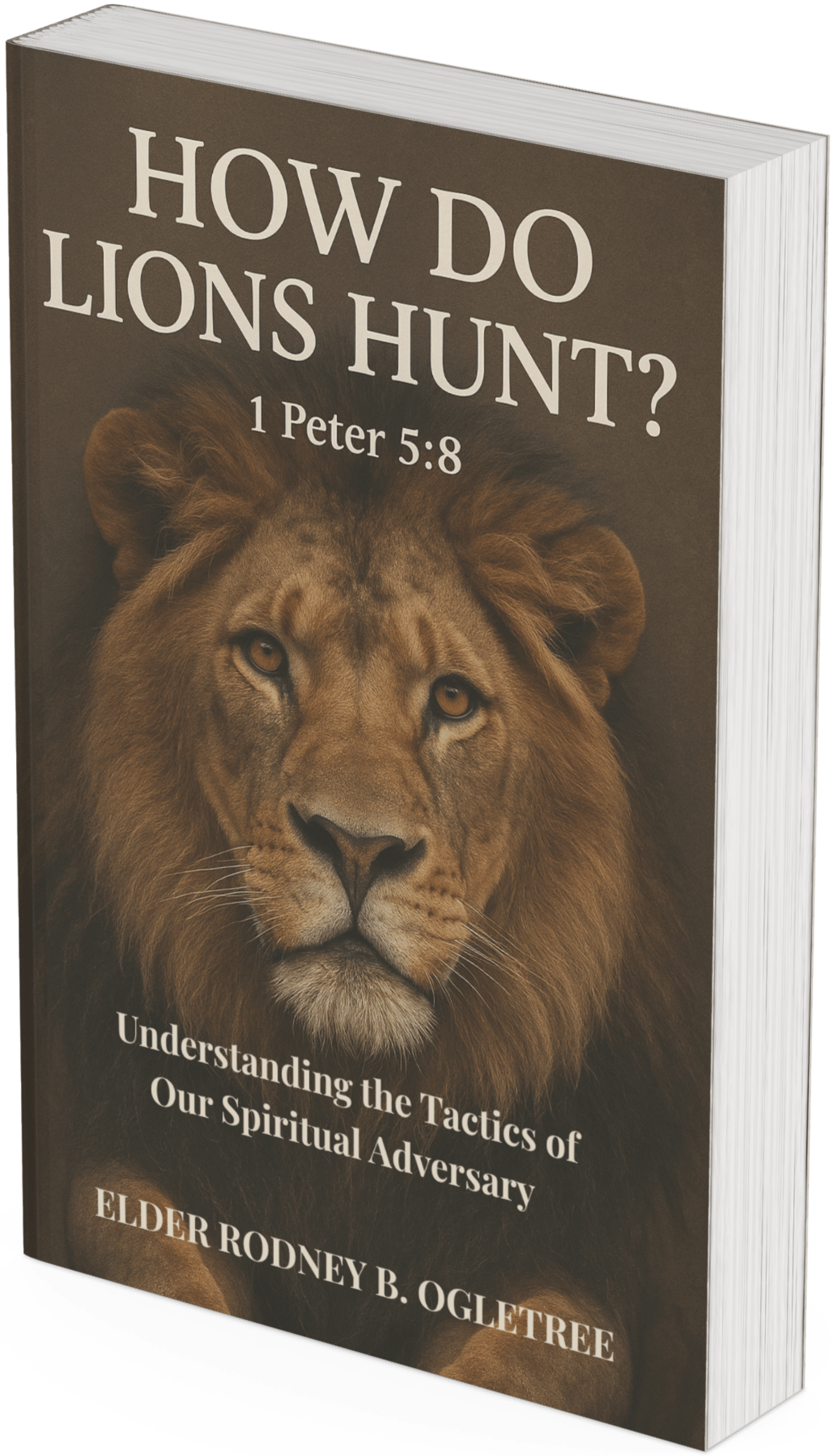 How Do Lions Hunt? - Payhip