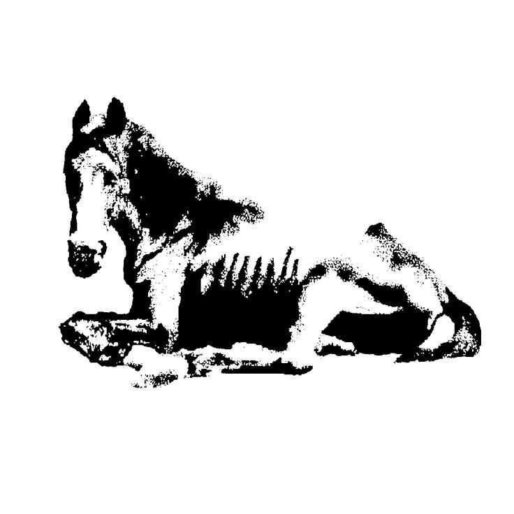 veteran flp first demo - Payhip