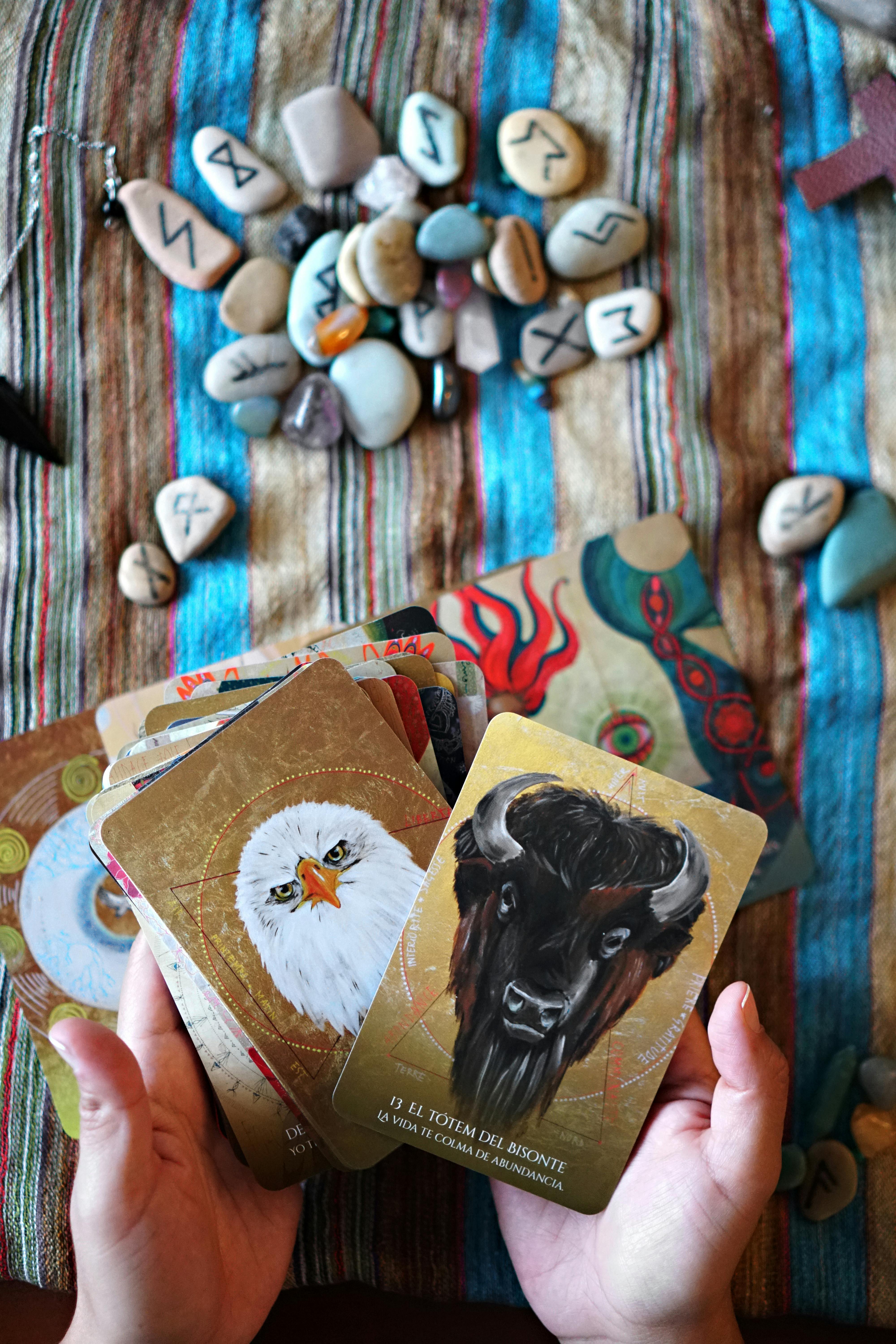 Plot Twist Tarot - Tarot Reading