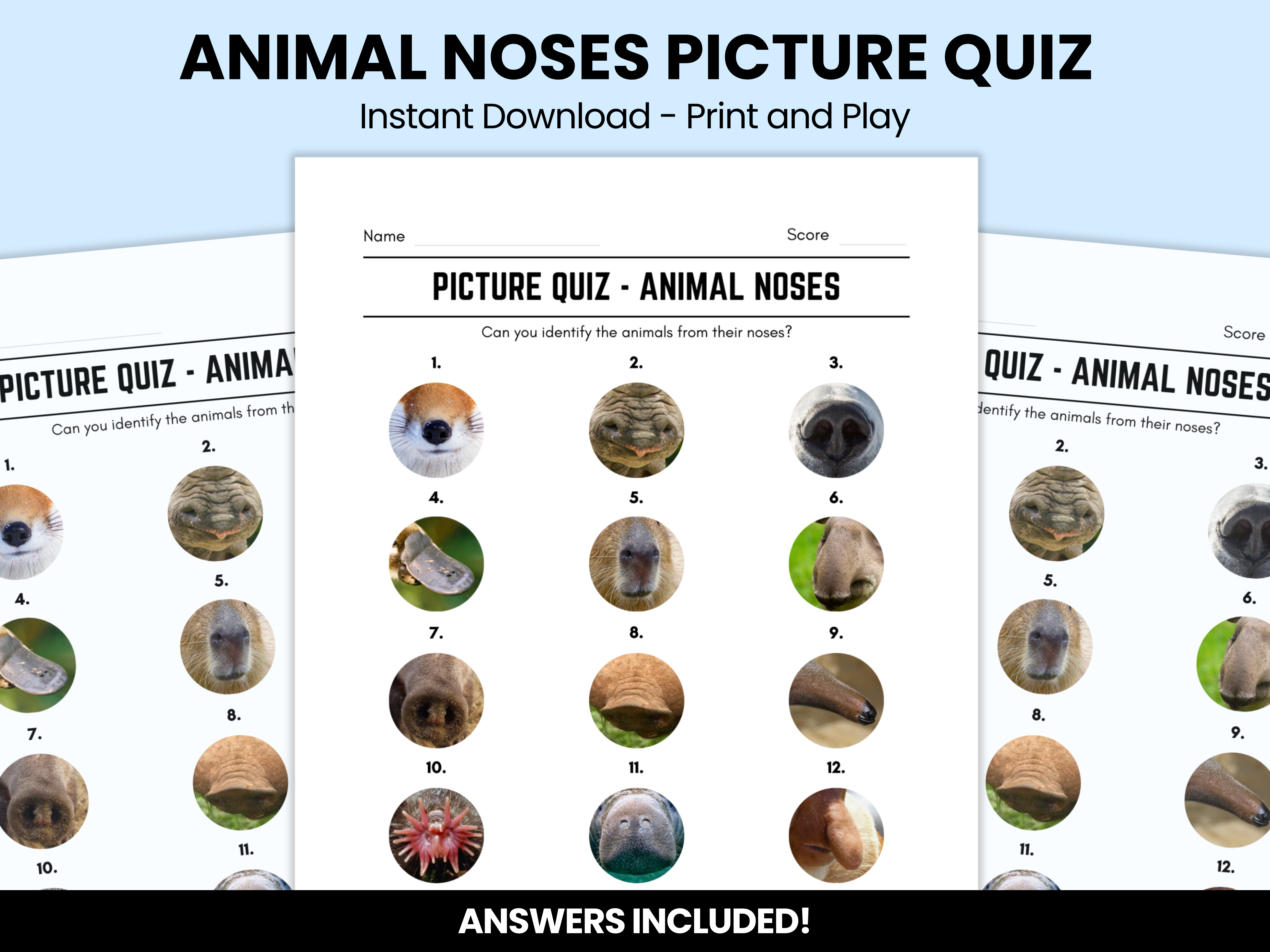 Animal Noses Picture Quiz With Answers – Instant Download