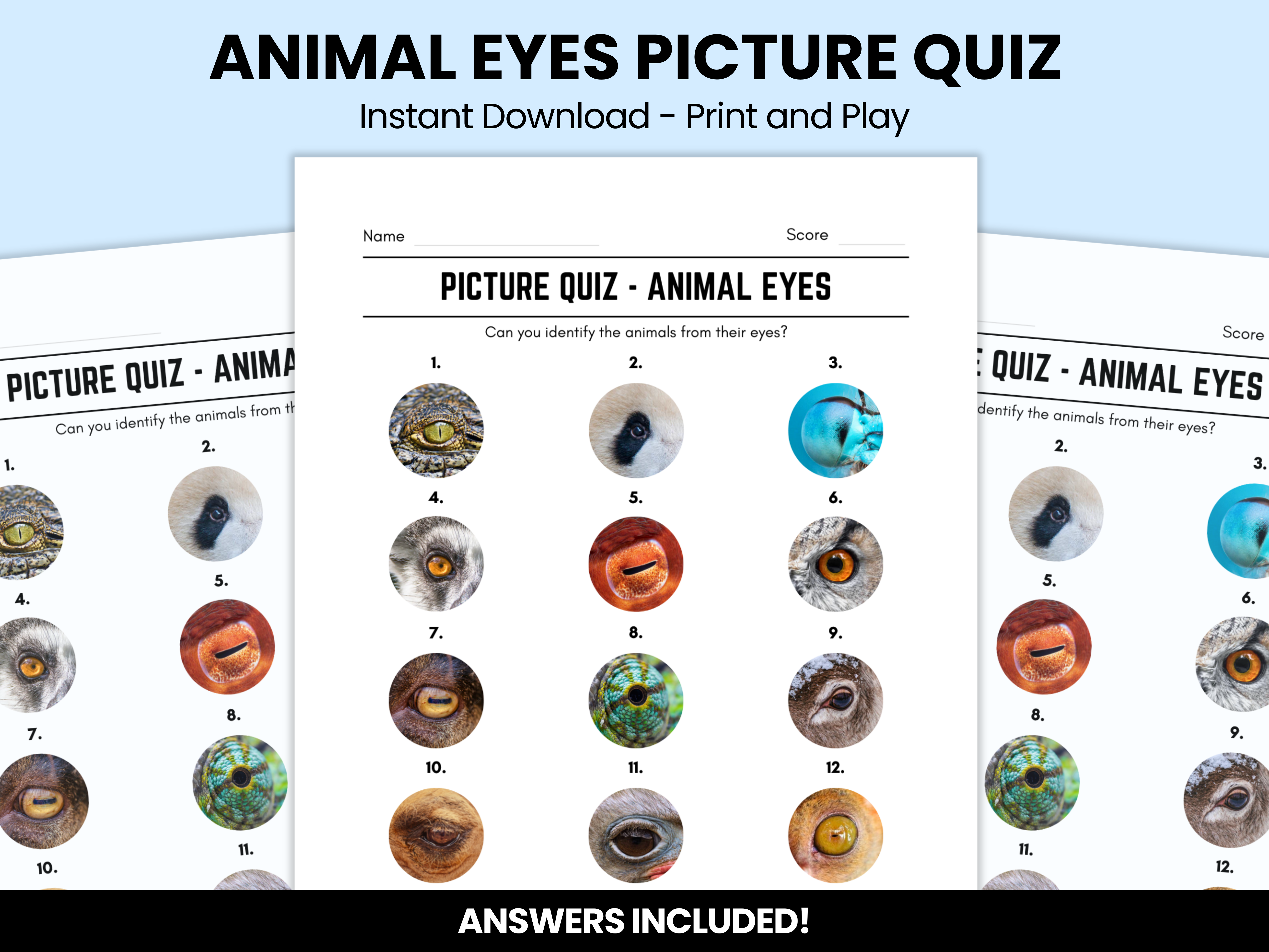 Animal Eyes Picture Quiz With Answers – Instant Download