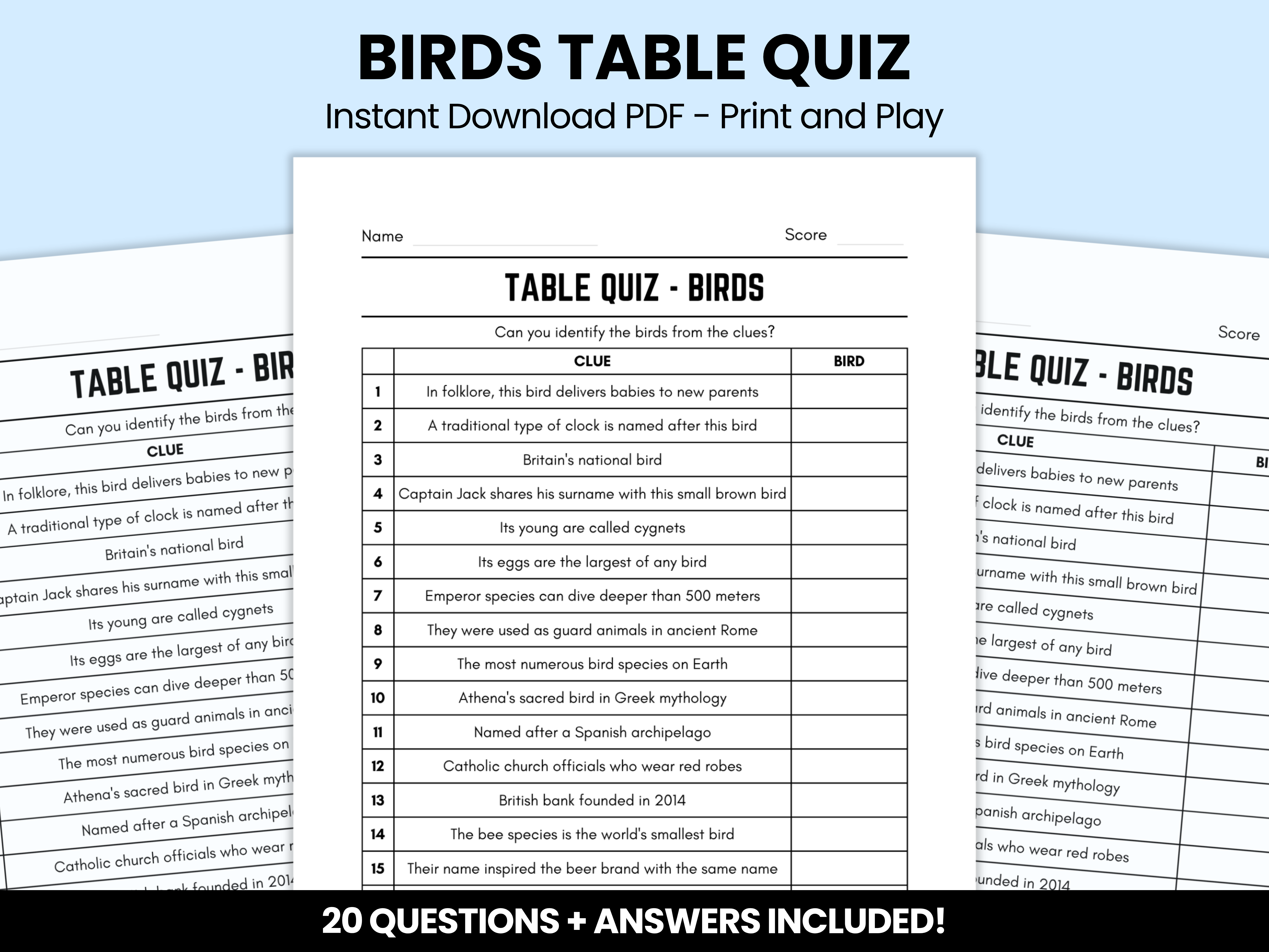 Birds Table Quiz With Answers – Instant Download