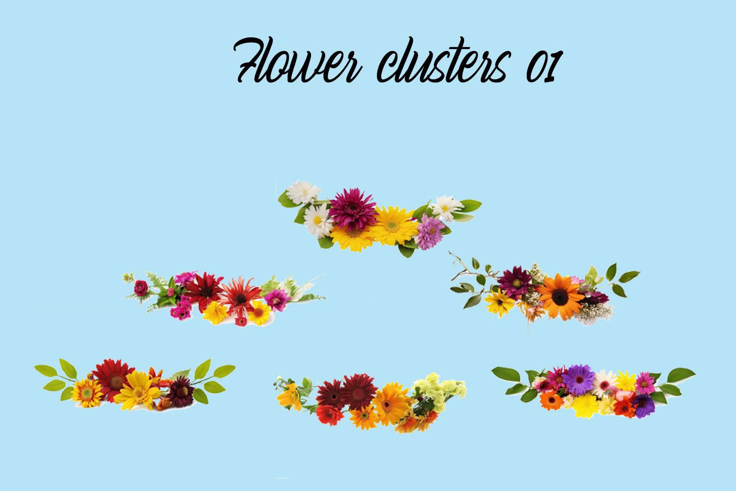 Flower Clusters - Payhip