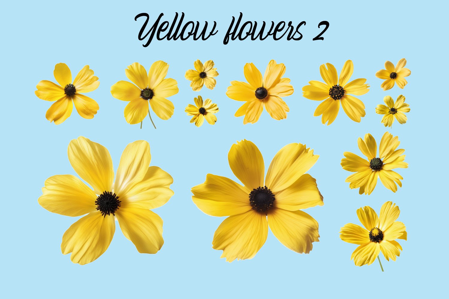 Yellow Flowers 2 - Payhip