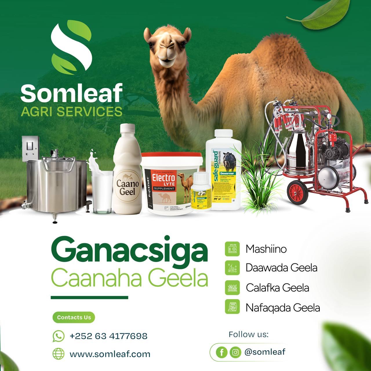 Ganacsiga Caanaha Geela - Payhip