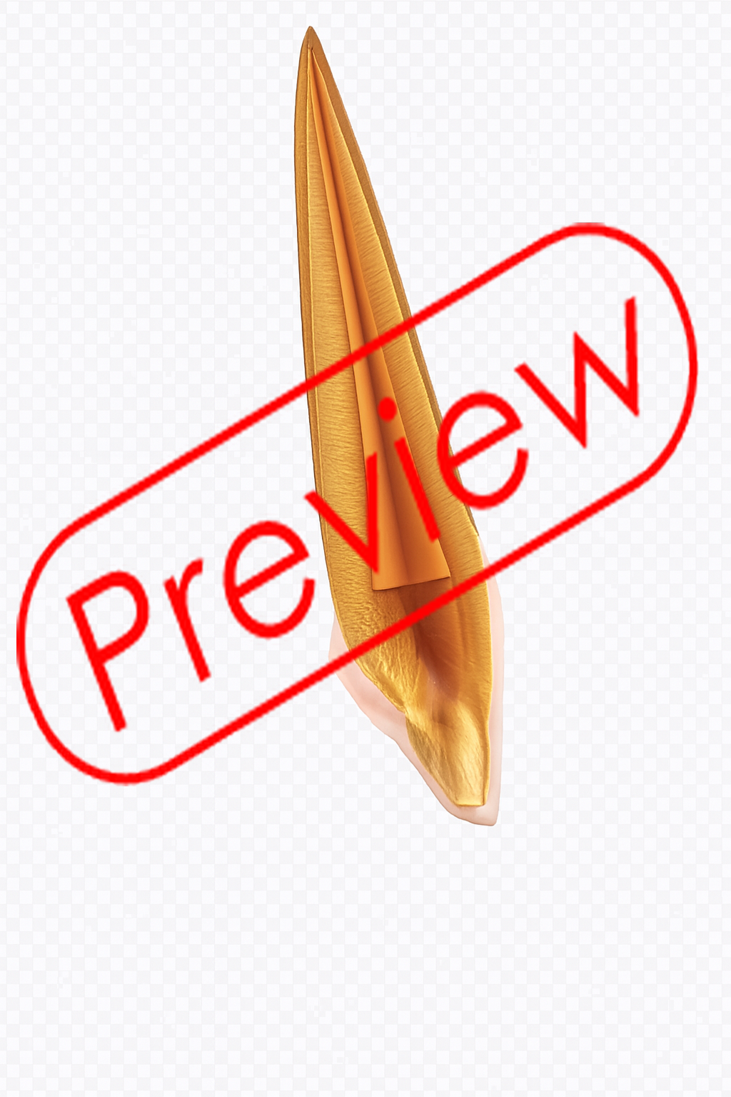 Endodontics 42y - Payhip