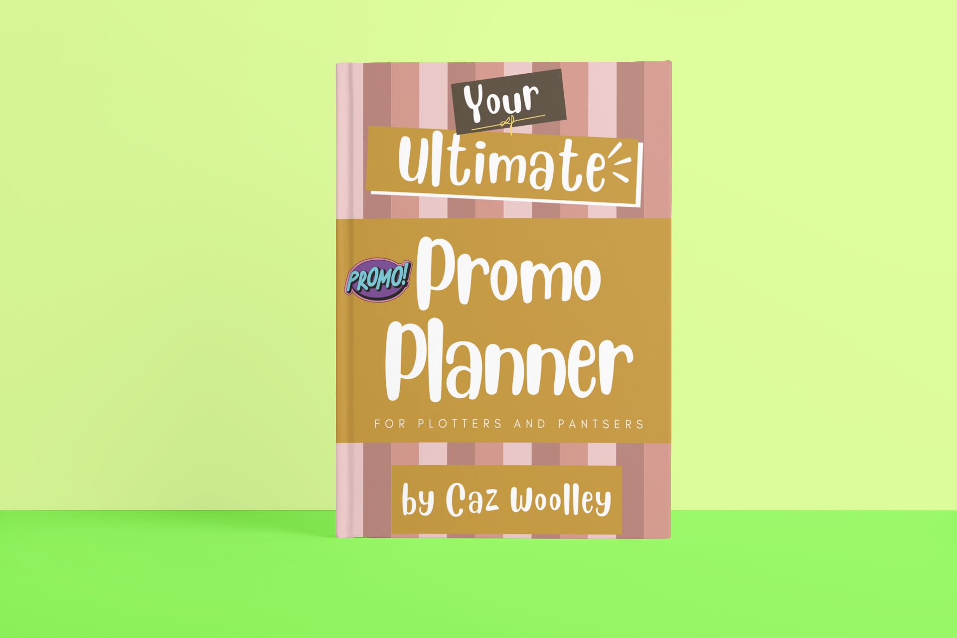 Your Ultimate Promo Planner - Payhip