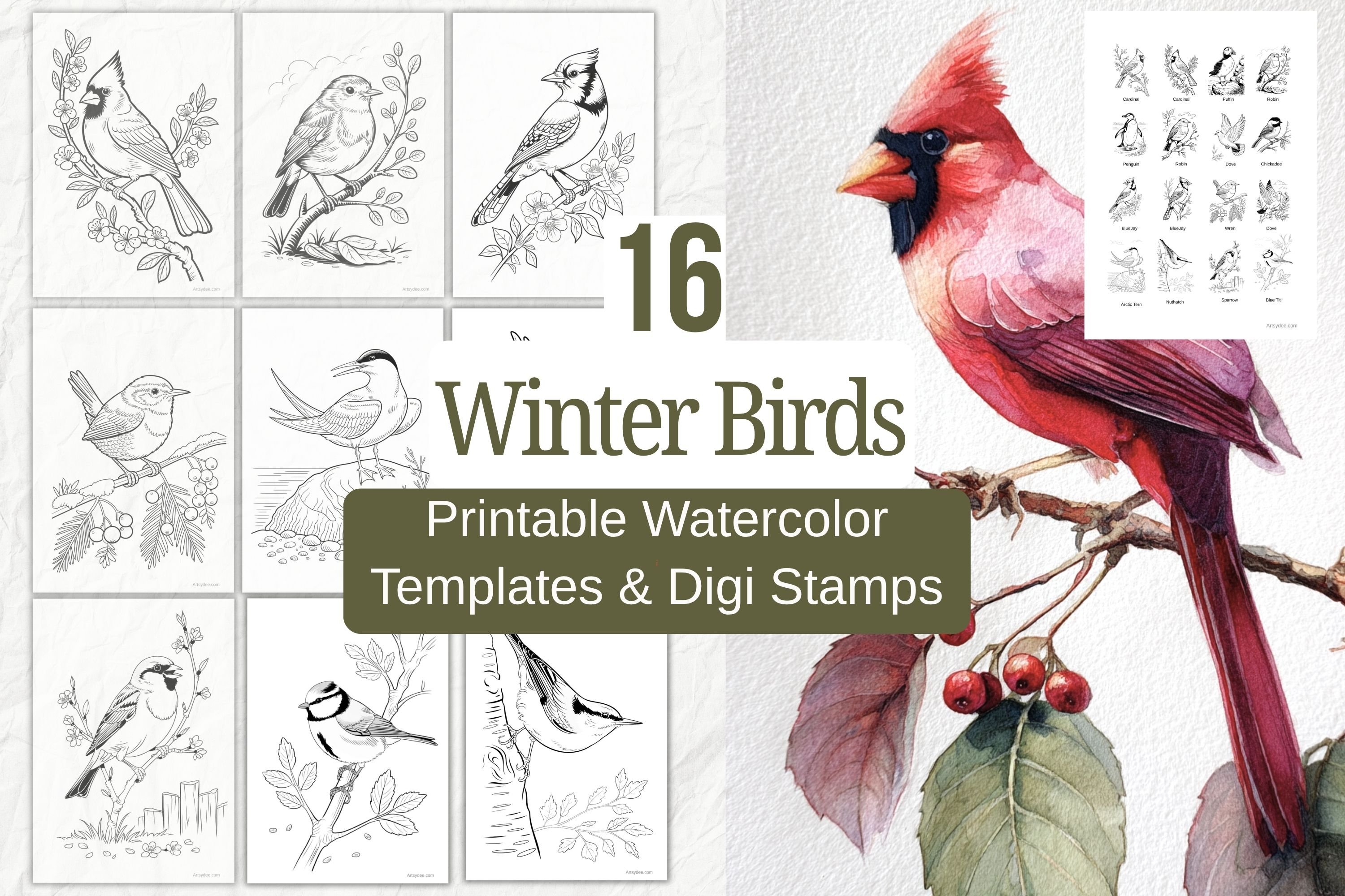 🕊️ 16 Winter Birds Printable Watercolor Templates & Digi Stamps - Payhip