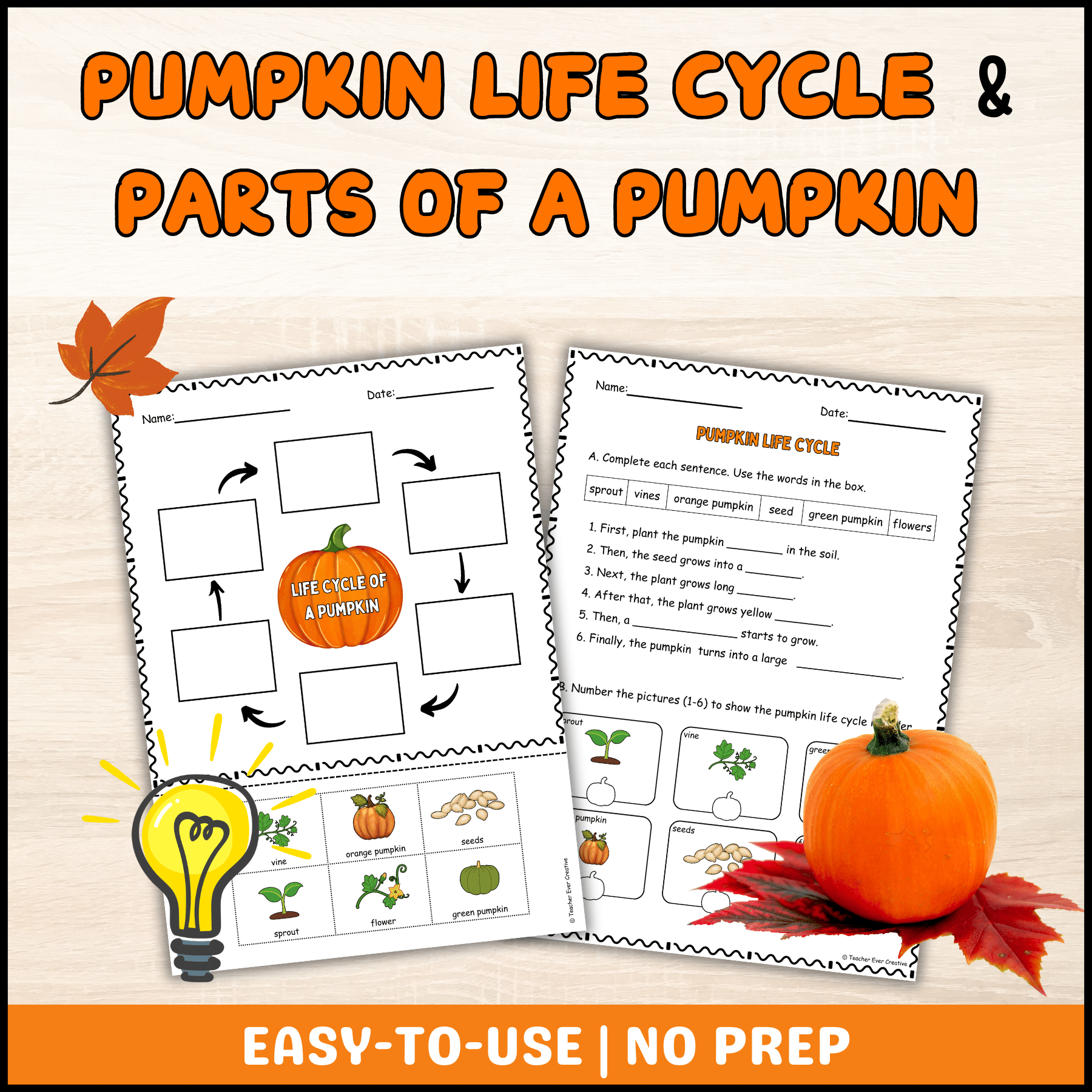Pumpkin Life Cycle & Parts of a Pumpkin Worksheets and Activity-Science ...