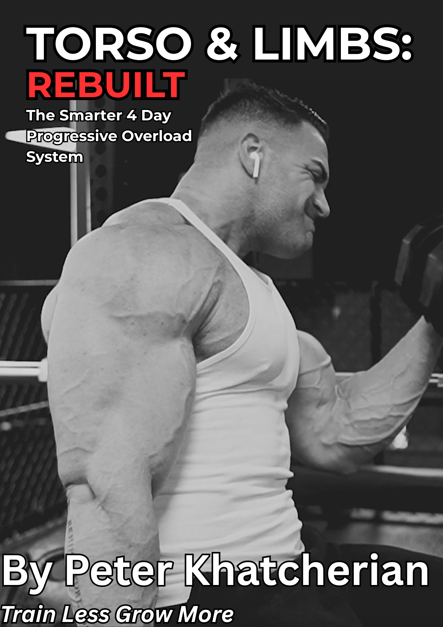 Torso & Limbs Rebuilt - Payhip