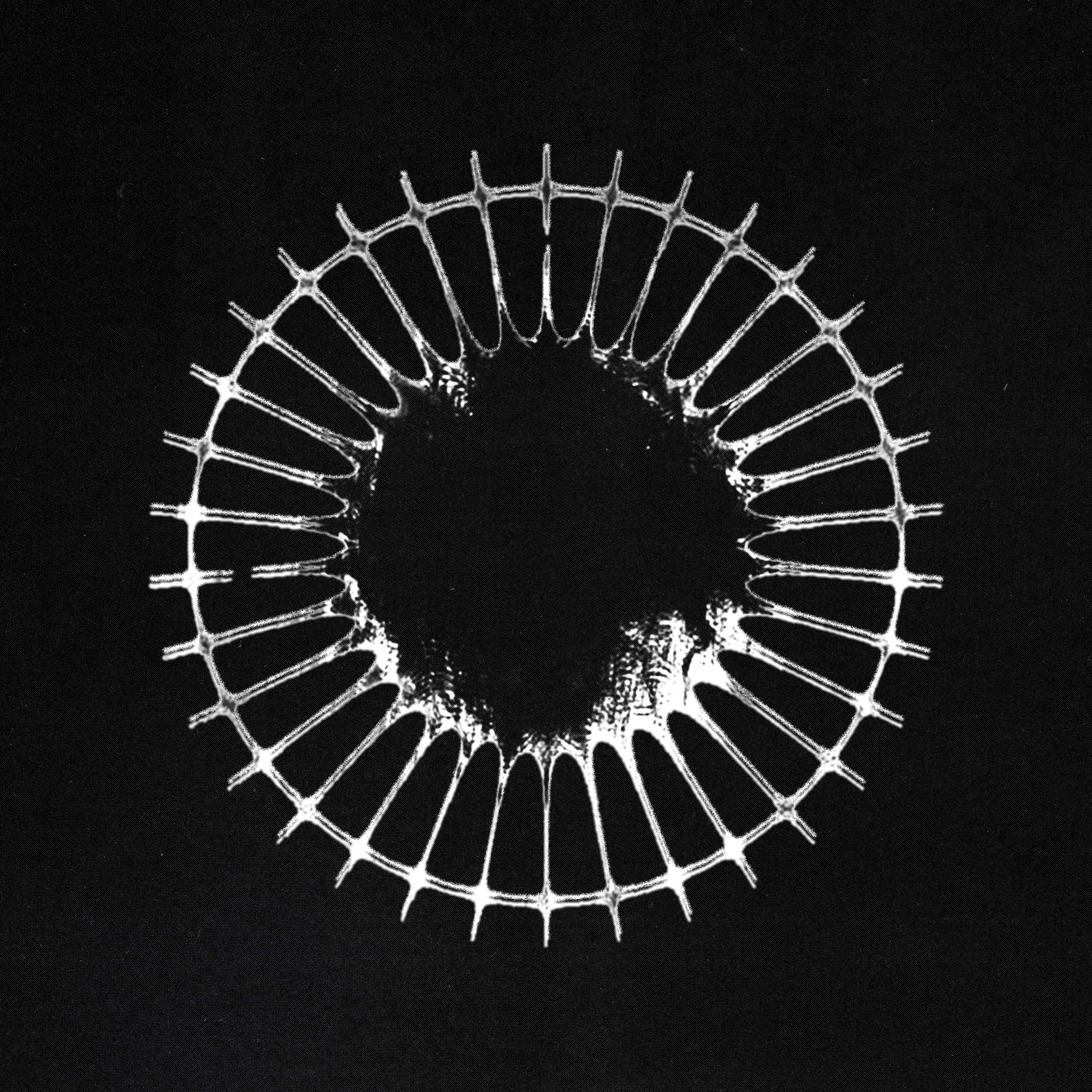 micélio (drum kit) - Payhip