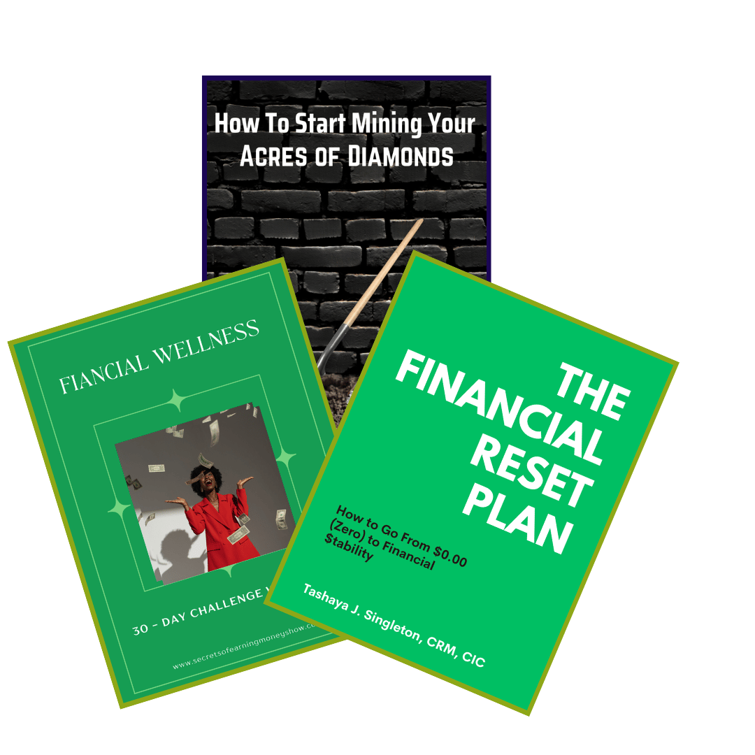 Tashaya Inspires - Cash-Flow Reset Bundle - Payhip