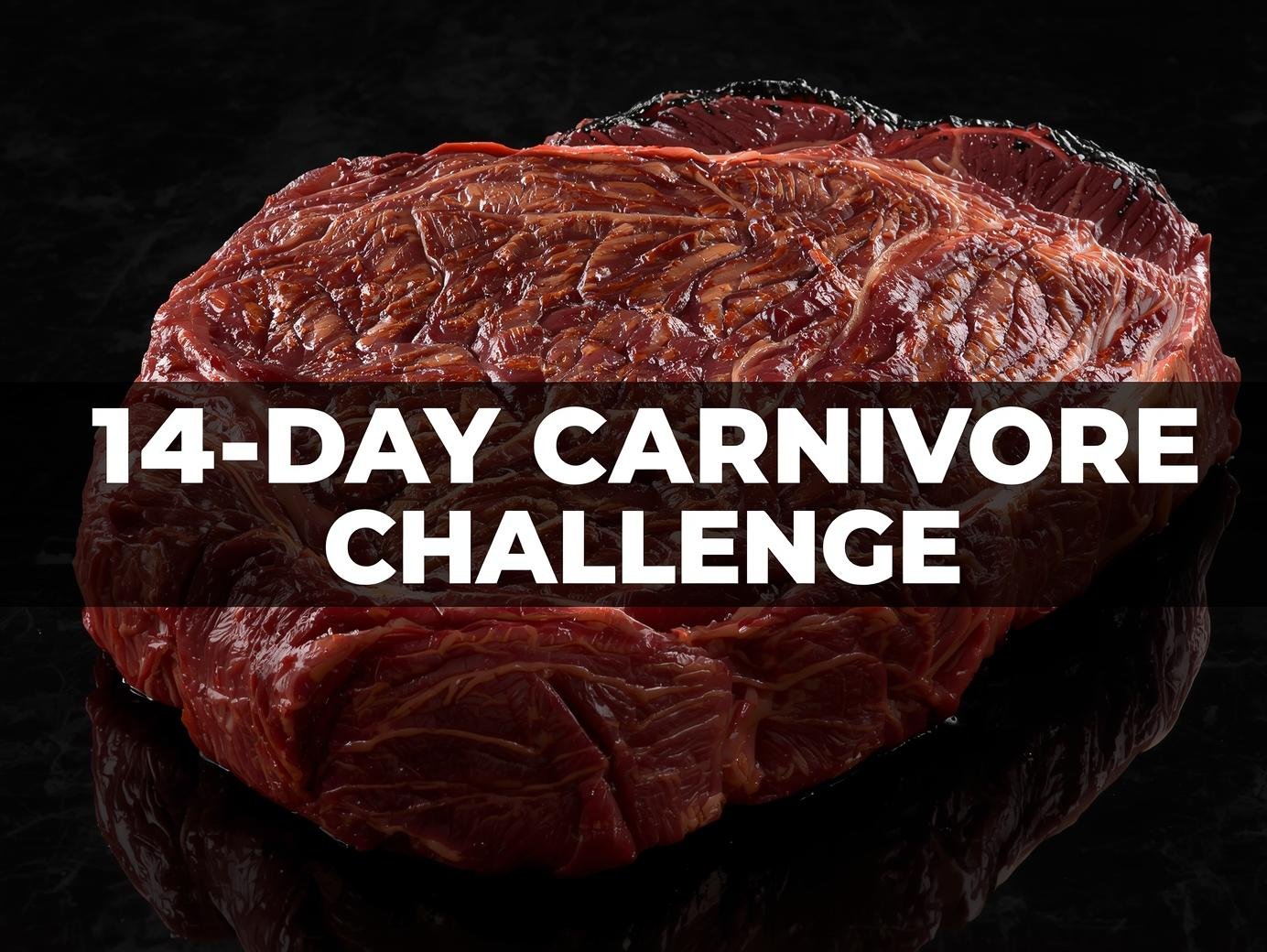 14-Day Carnivore Challenge - Payhip