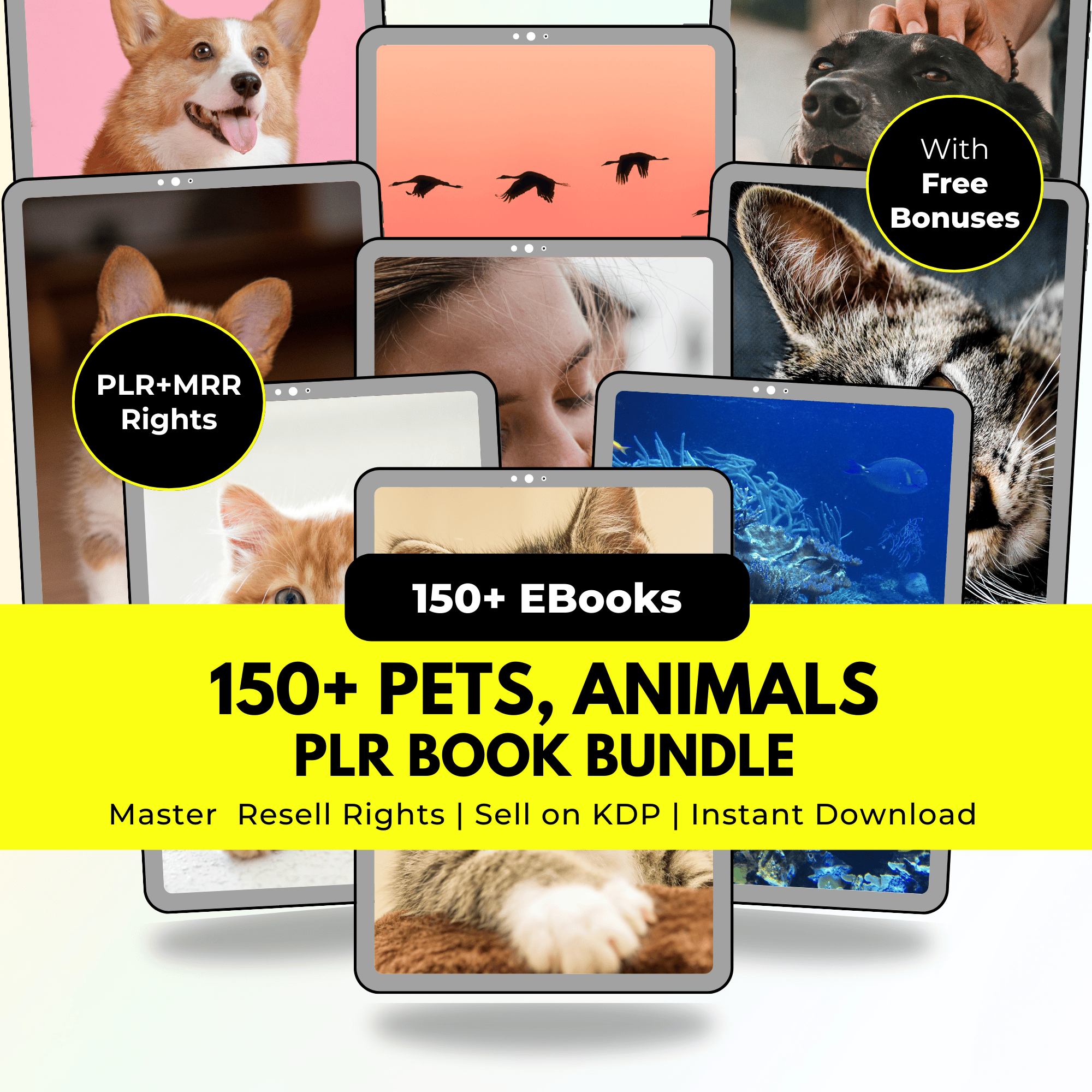 500,000 eBooks Mega PLR Bundle: Ready-to-Use eBooks (Digital Download ...