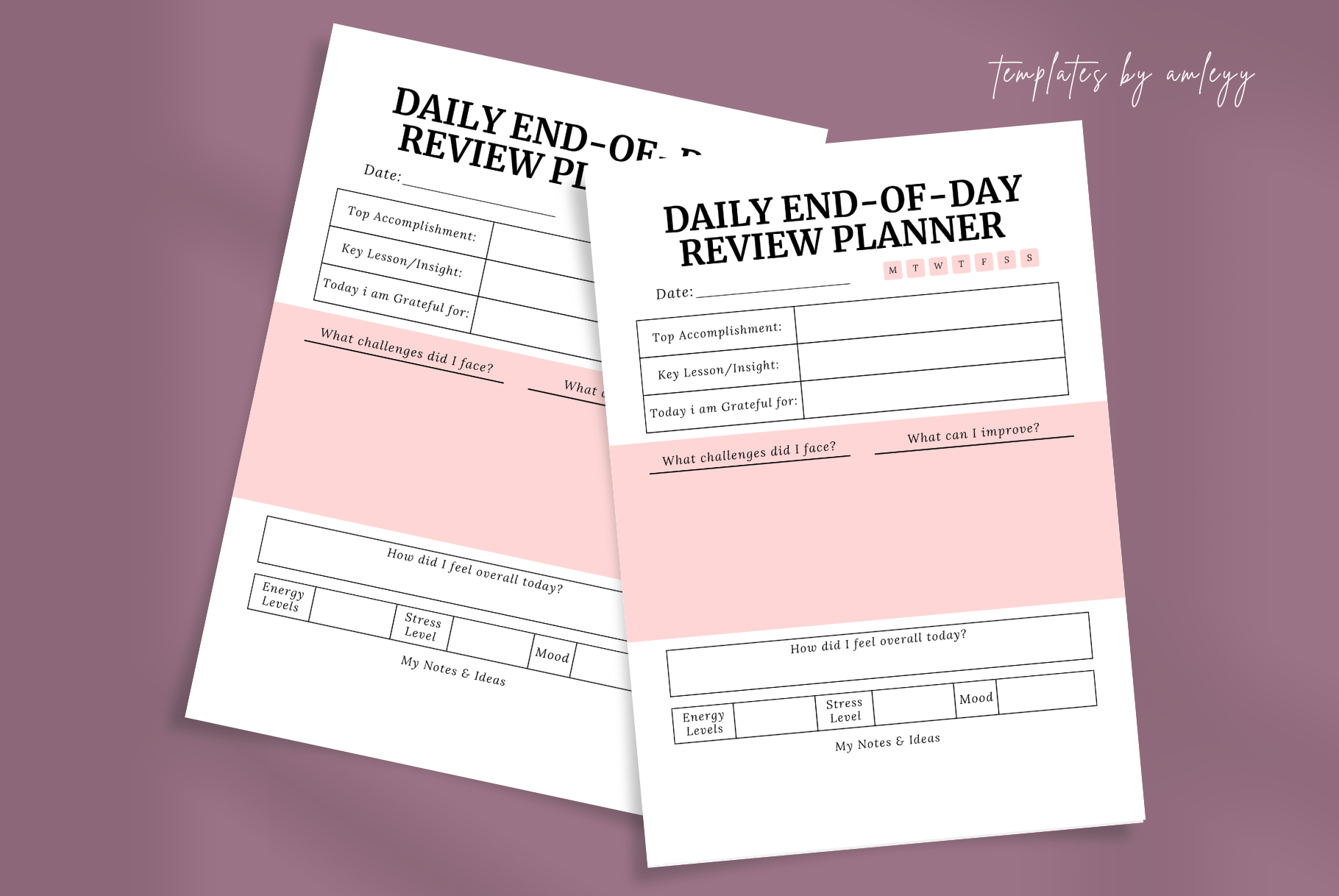 Daily End-of-Day Review Planner Printable | Gratitude & Reflection ...