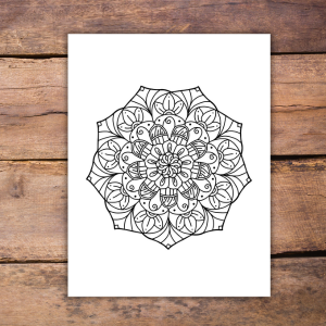 Coloring book adult . 500 mandalas - Payhip