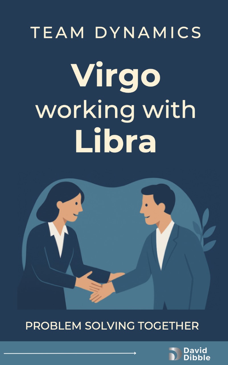 Virgo Manager working with Libra Team Member - Payhip