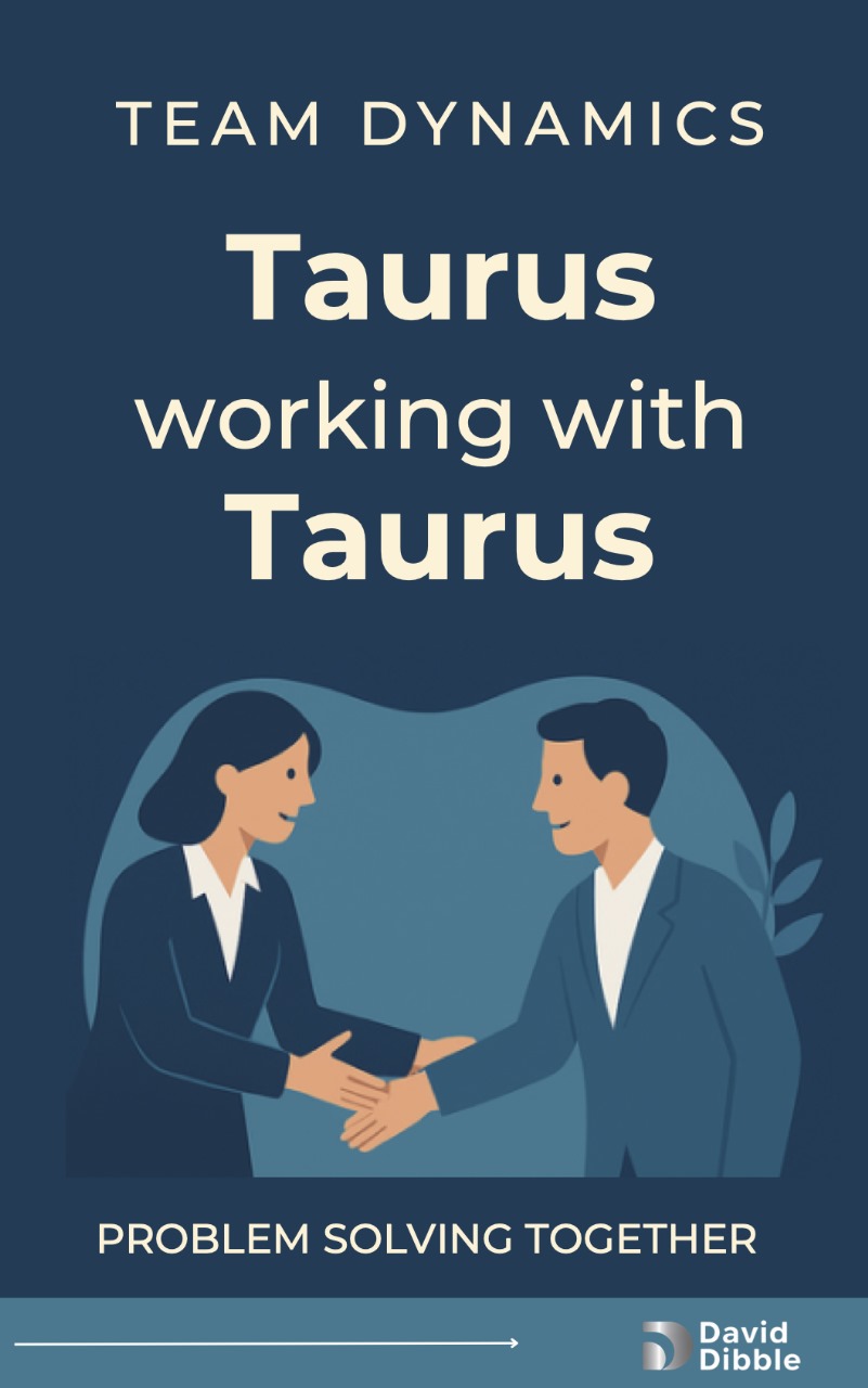 Taurus Manager working with Taurus Team Member - Payhip