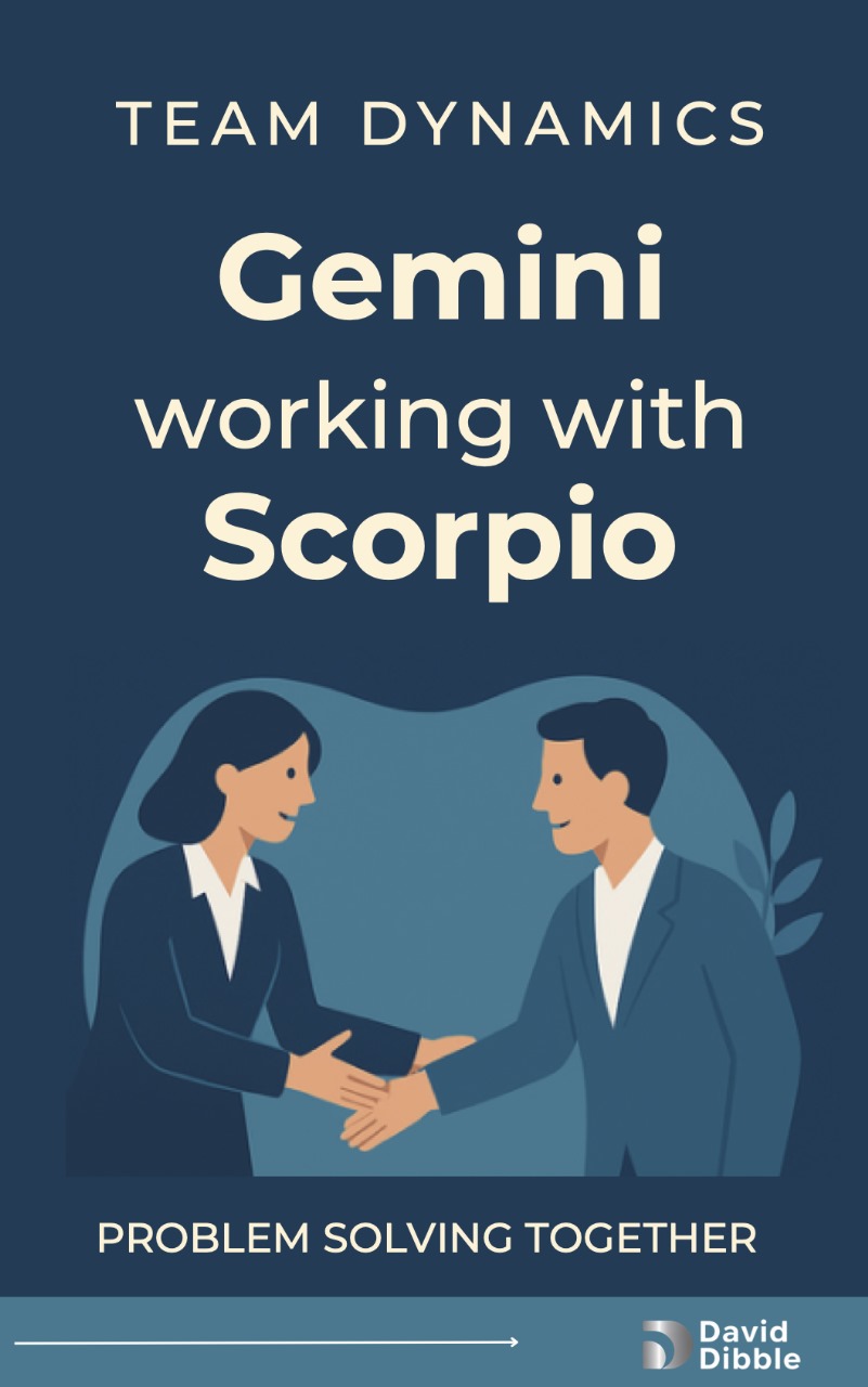 Gemini Manager working with Scorpio Team Member - Payhip