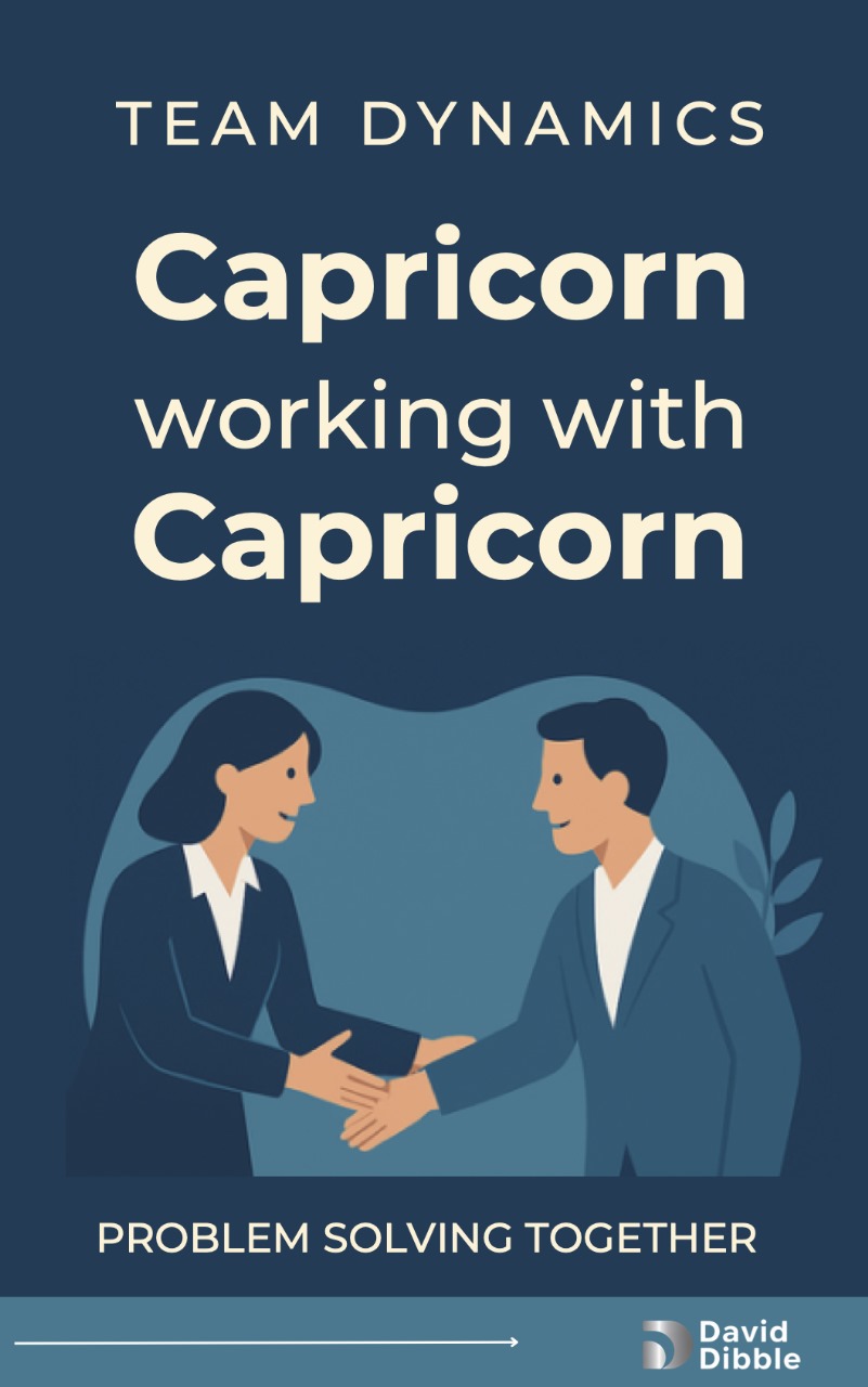 Capricorn Manager working with Capricorn Team Member - Payhip