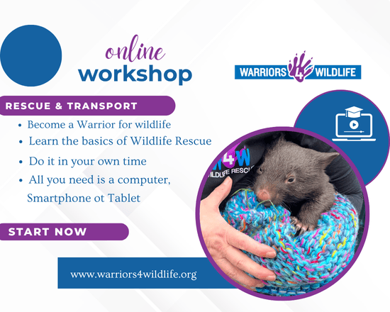 Warriors 4 Wildlife Basic Rescue & Transport Training and Hub
