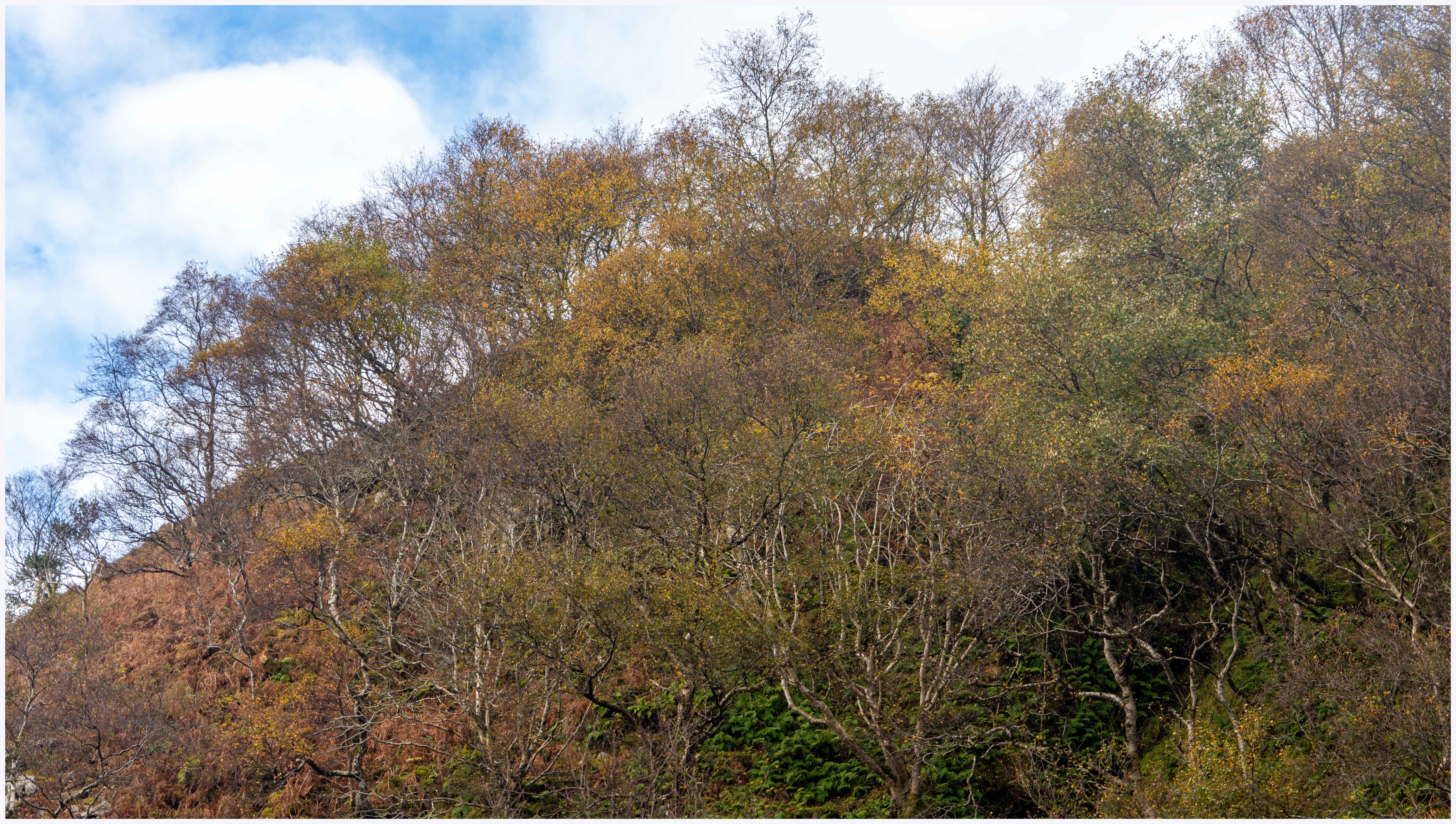 Glenevin Nature Photography – Autumn Landscape Print, Irish Countryside ...