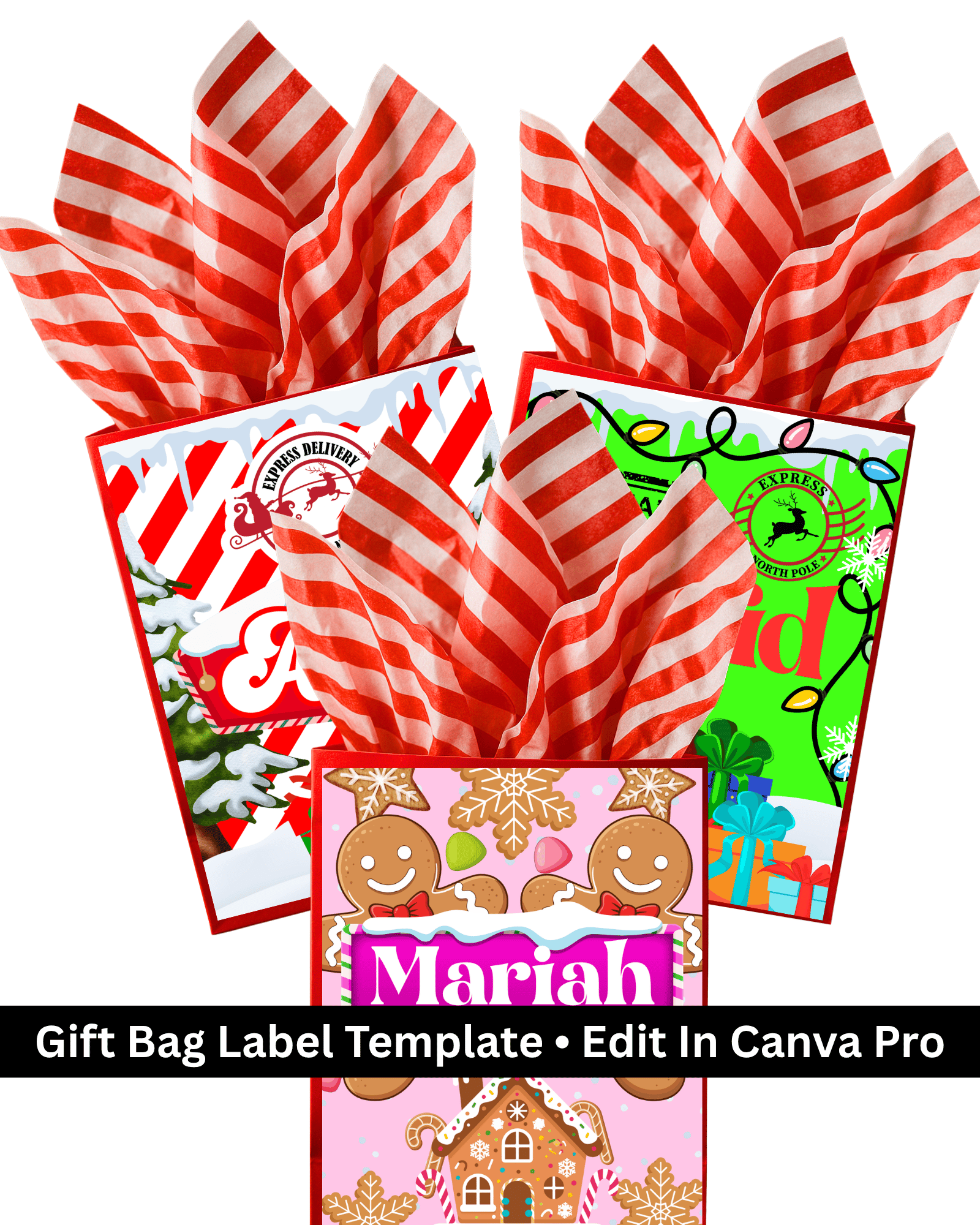 Editable Gift Bag Template Bundle - Payhip