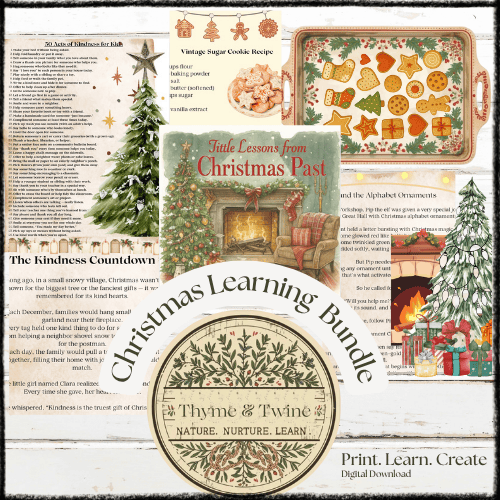 Christmas Learning Bundle for Kids (Homeschool Activities) - Payhip